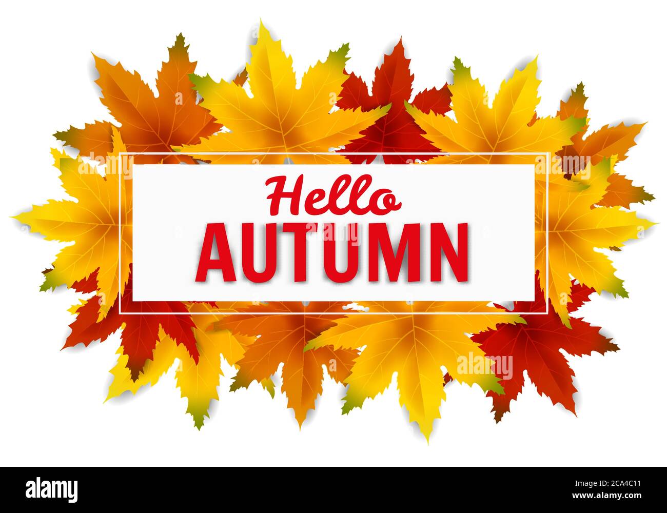 Banner autumn falling leaves template background. Yellow and brown ...