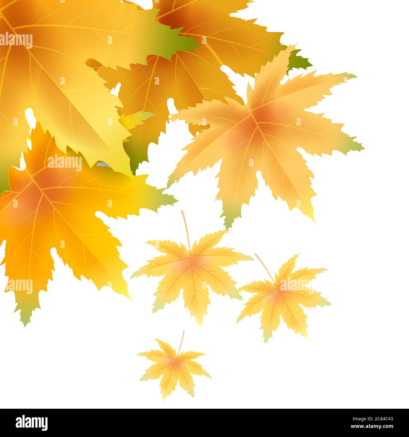 Banner autumn falling leaves template background. Yellow and brown ...