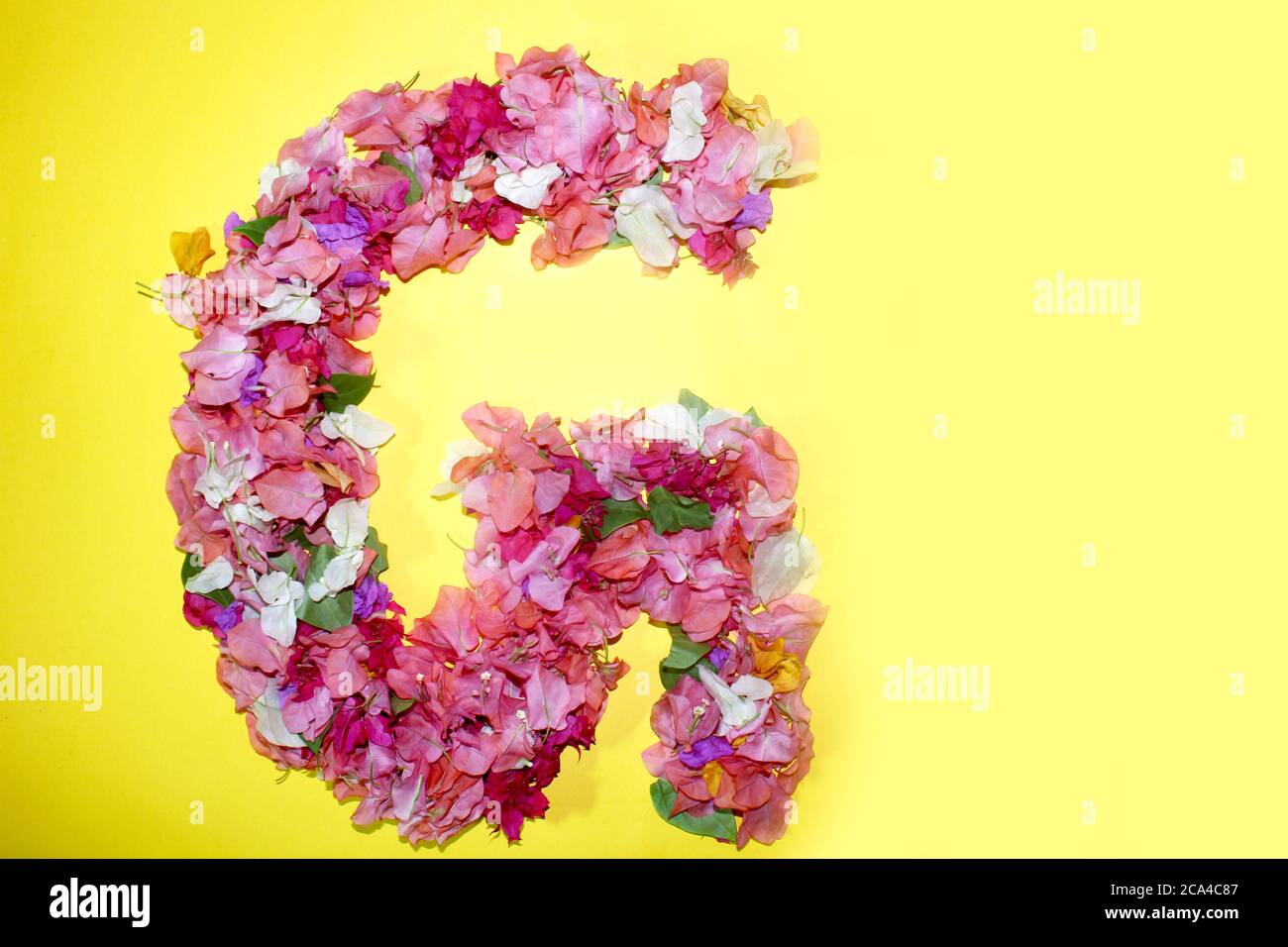 letter G flower alphabet, made from colorful bougainvillea flowers ...
