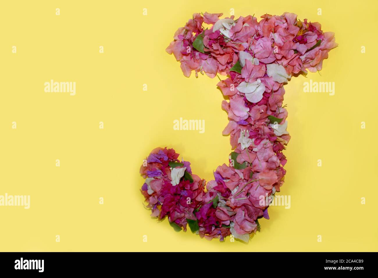 The Letter J In Flowers