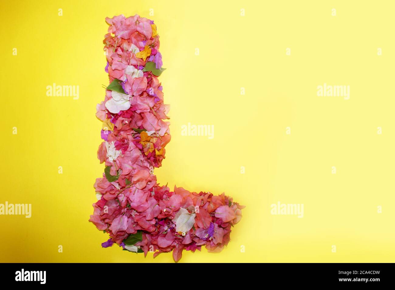 letter L flower alphabet, made from colorful bougainvillea flowers ...