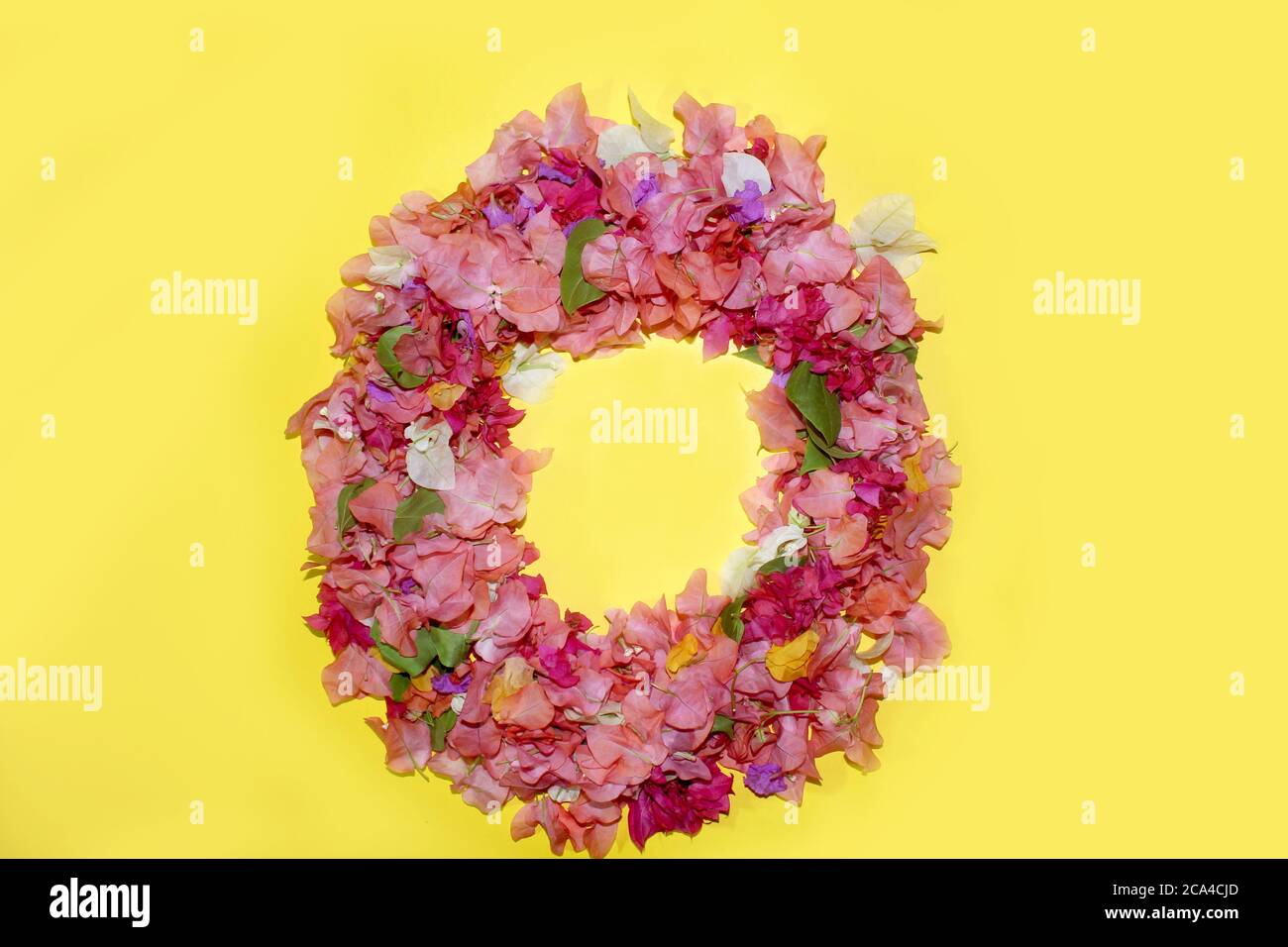 letter o flower alphabet, made from colorful bougainvillea flowers ...