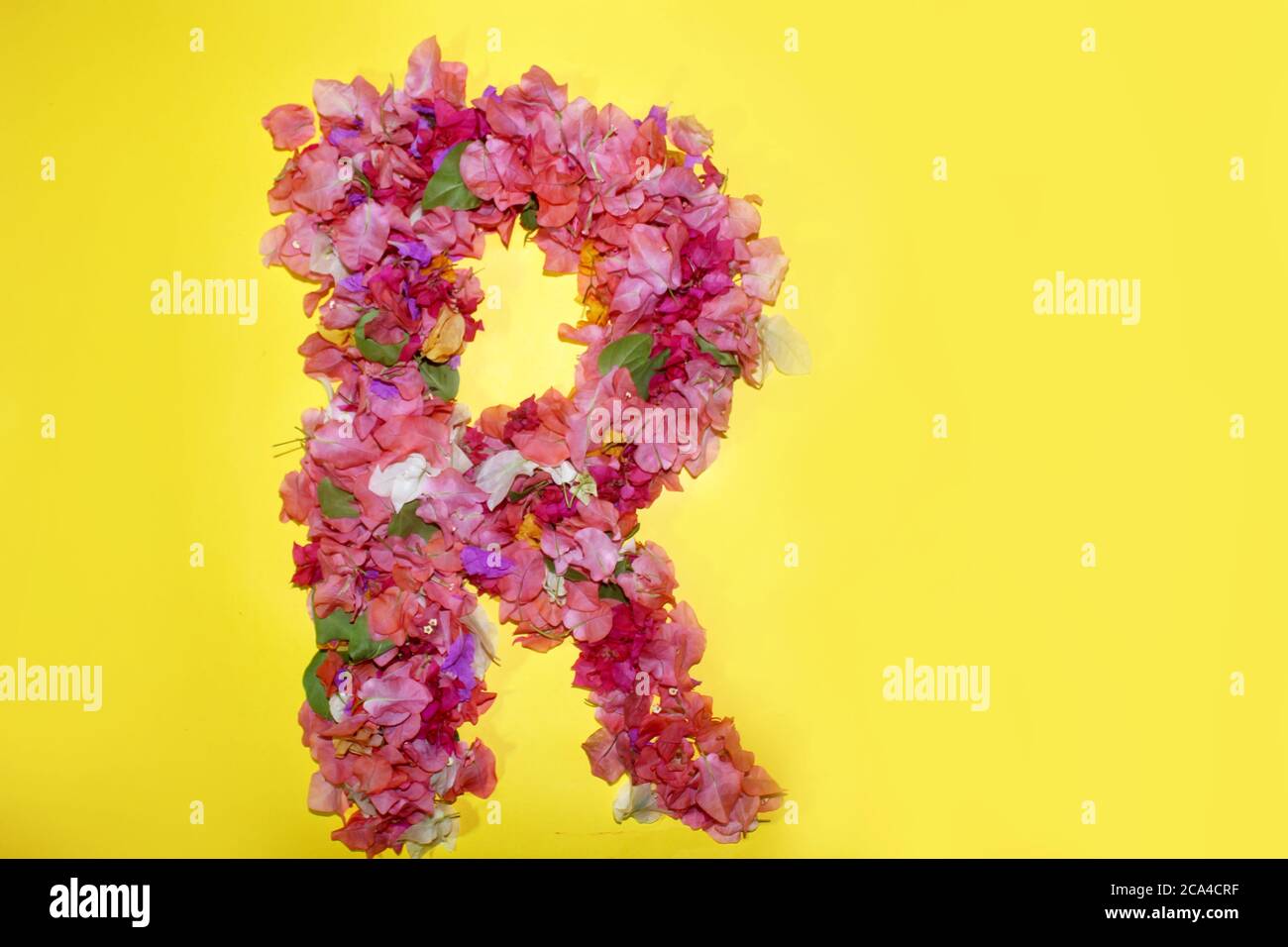 Letter r flowers hi-res stock photography and images - Alamy