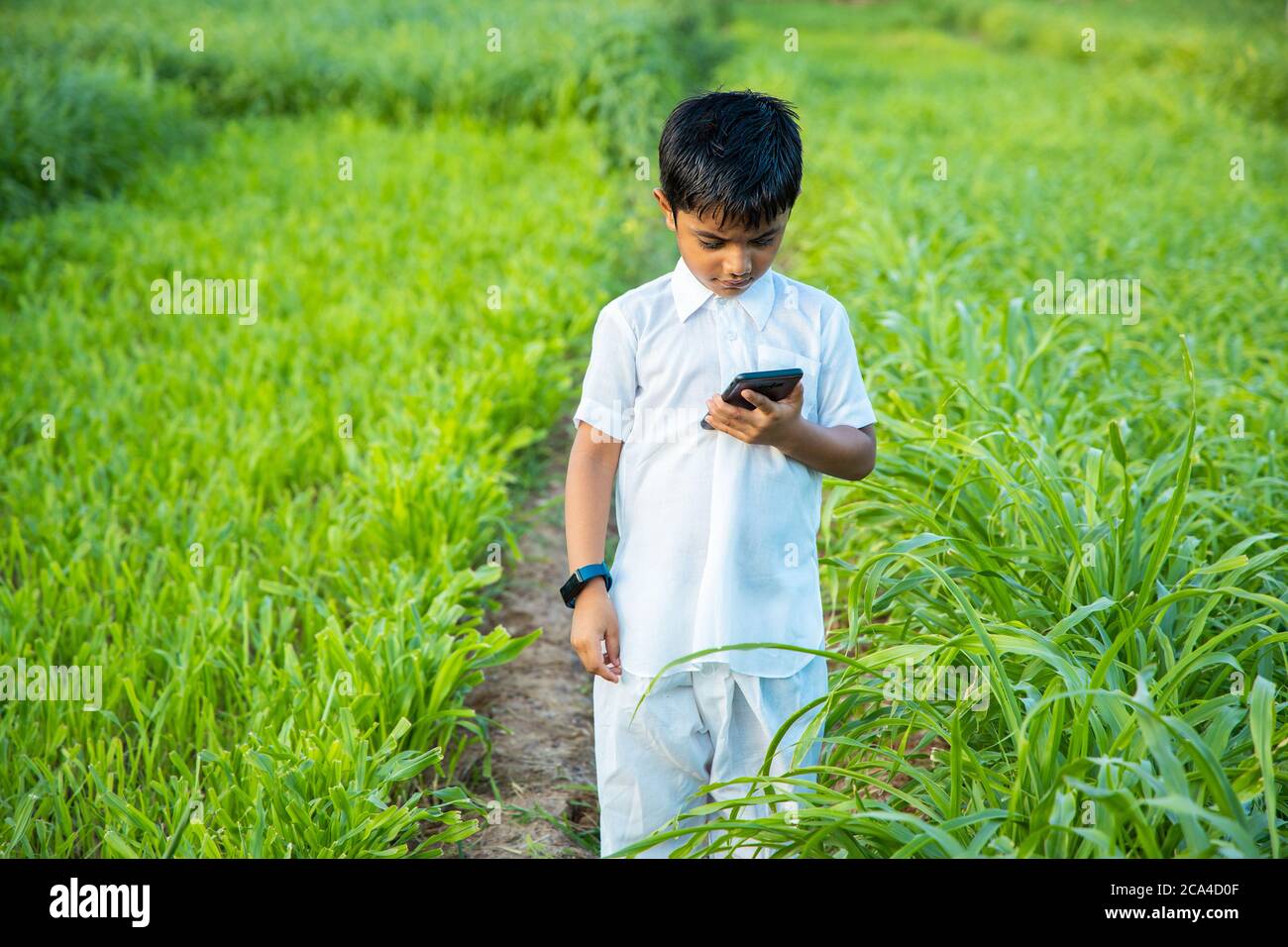 Portrait on cute indian child using smart phone standing in agriculture ...