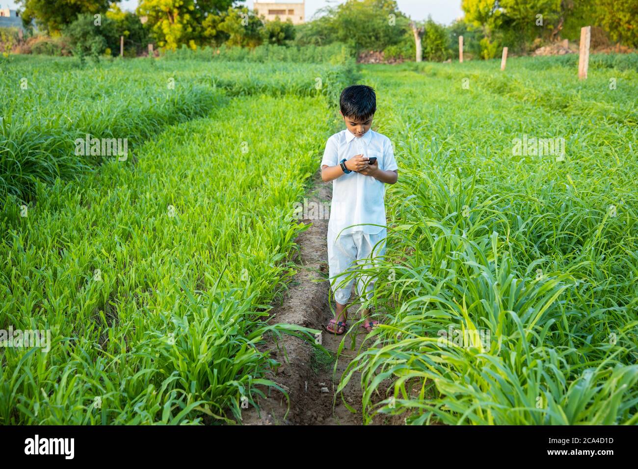 Portrait on cute indian child using smart phone standing in agriculture ...