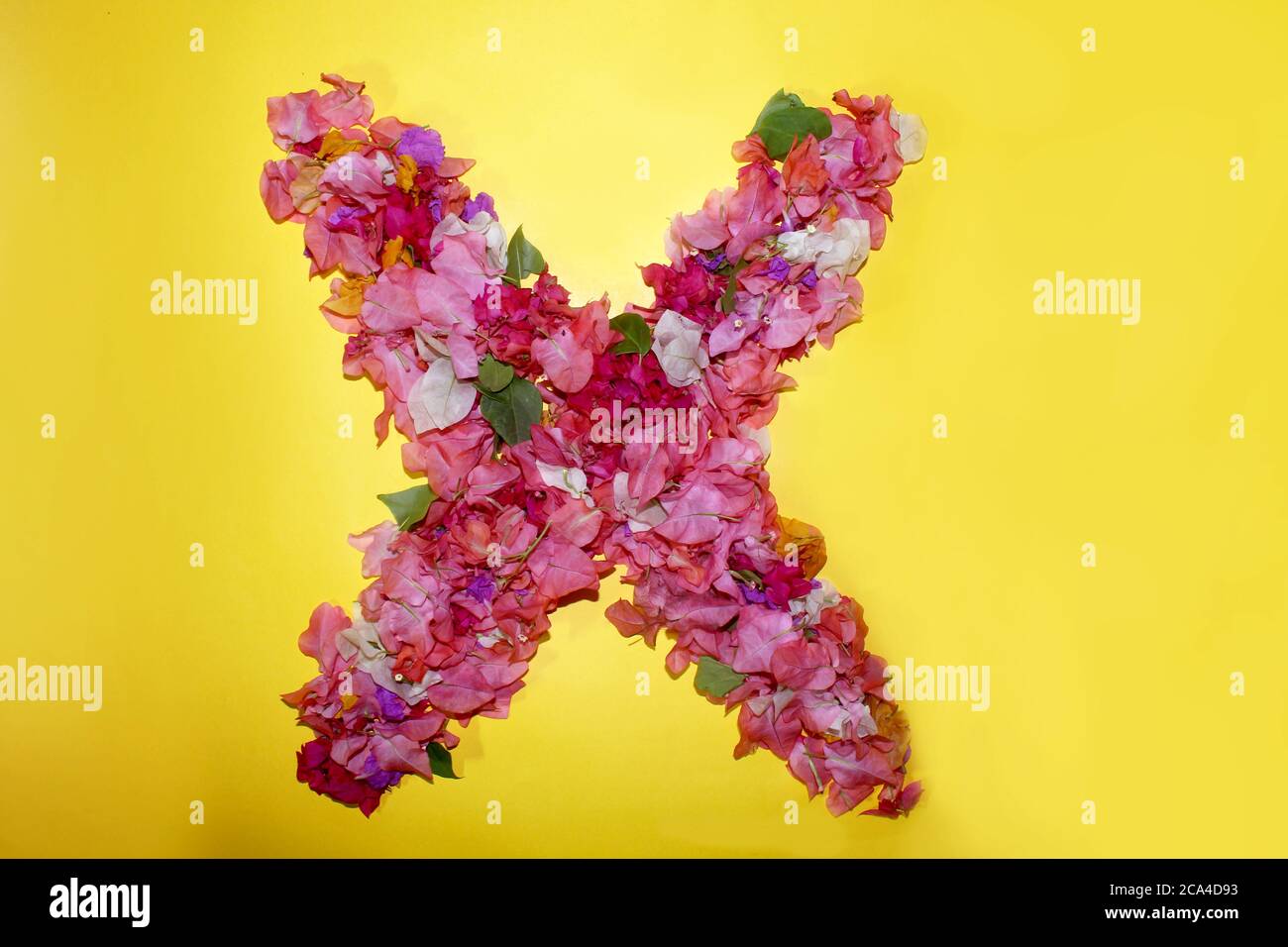 Flower alphabet hi-res stock photography and images - Alamy
