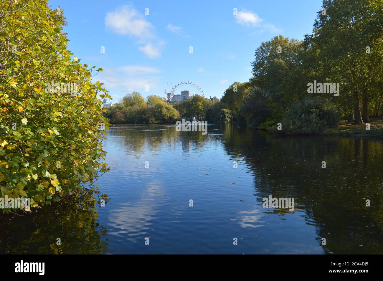 beautiful landscape with water green plants and blue sky with the ...