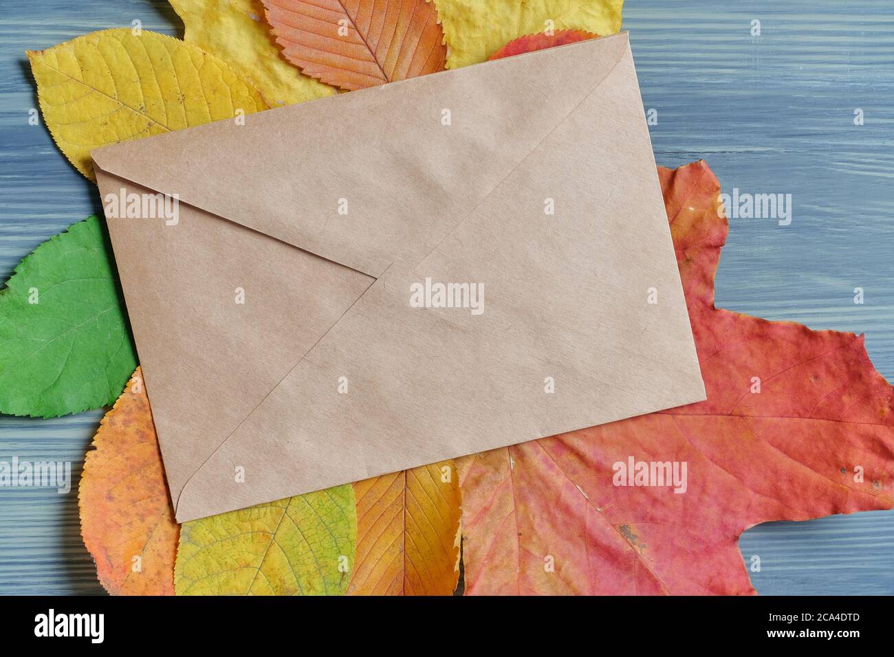 Autumn concept with craft envelope on dried leaves Stock Photo - Alamy