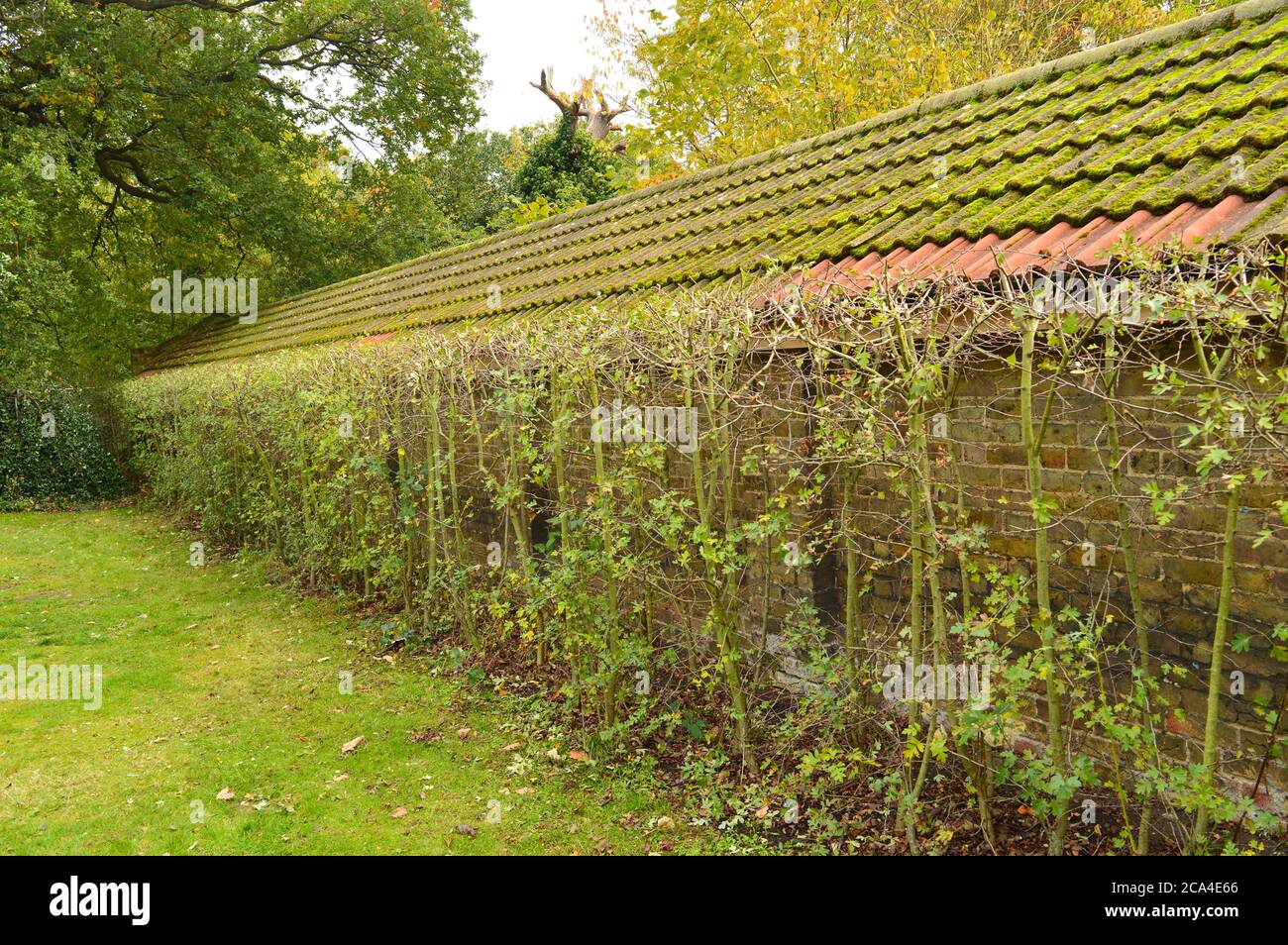 Victorian brick wall texture hi-res stock photography and images - Alamy
