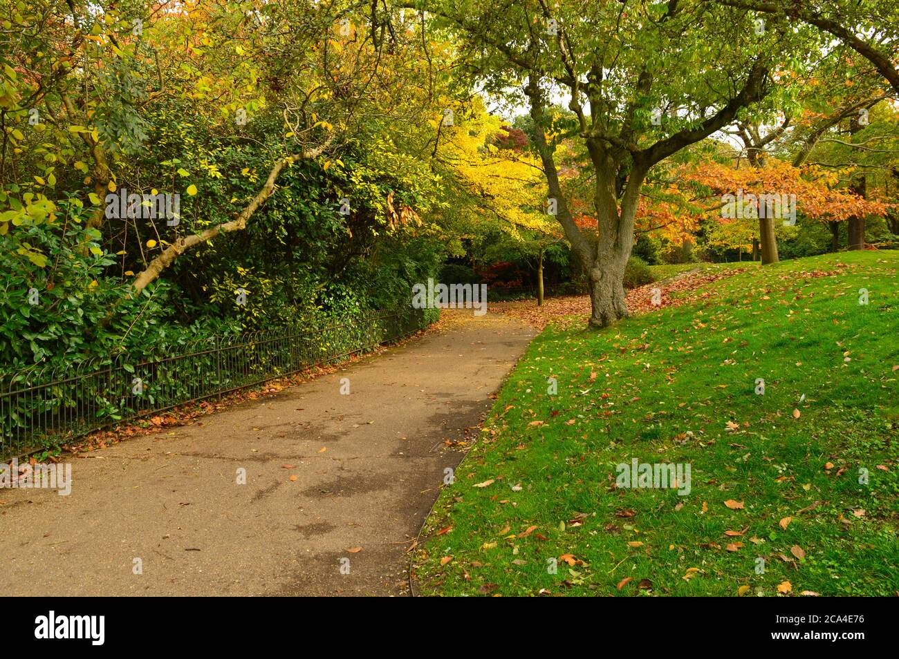 Pathway in a park hi-res stock photography and images - Alamy