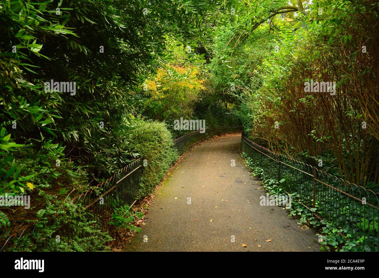 Natural overgrowth hi-res stock photography and images - Alamy