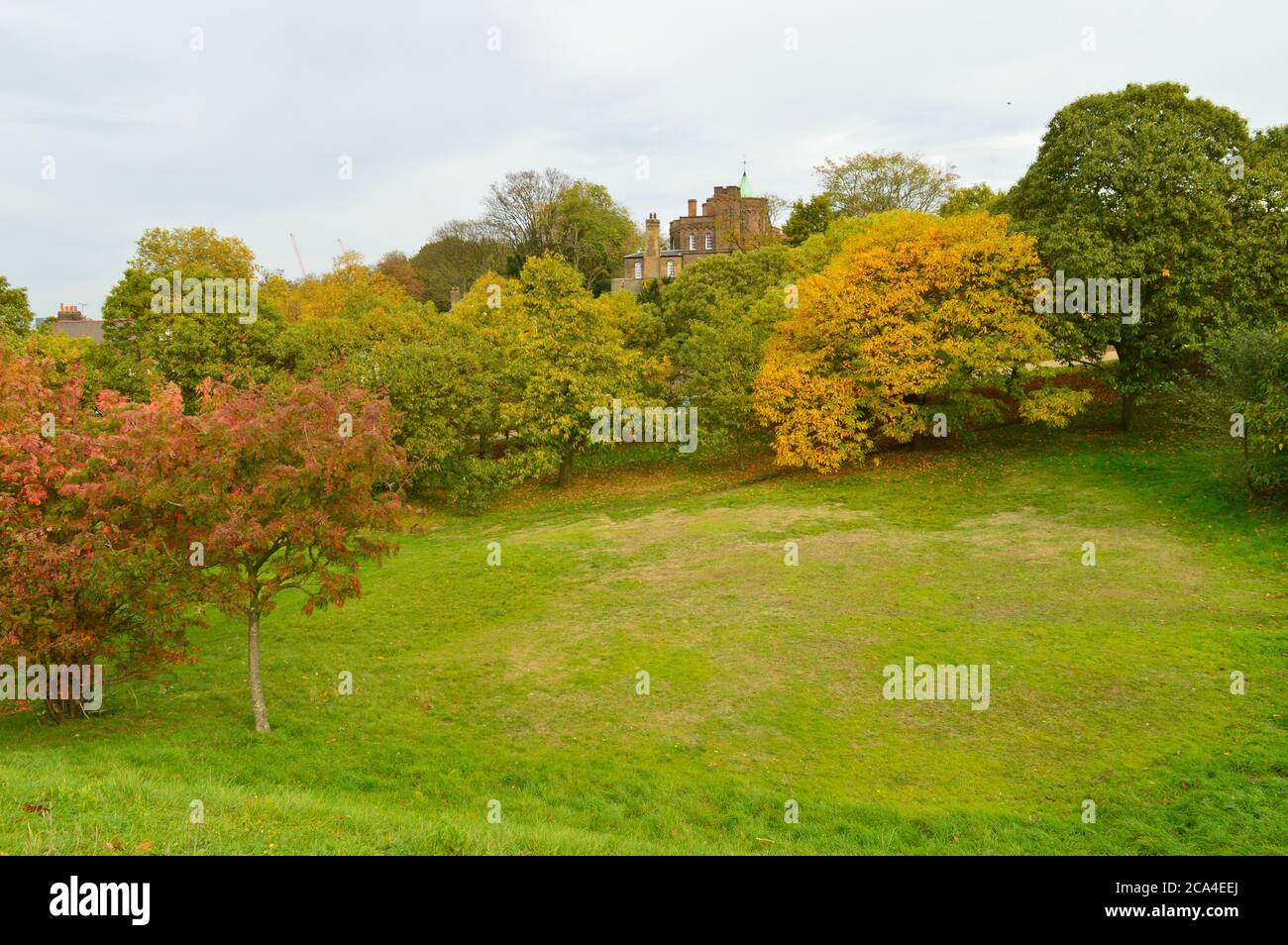 Different coloured trees hi-res stock photography and images - Alamy