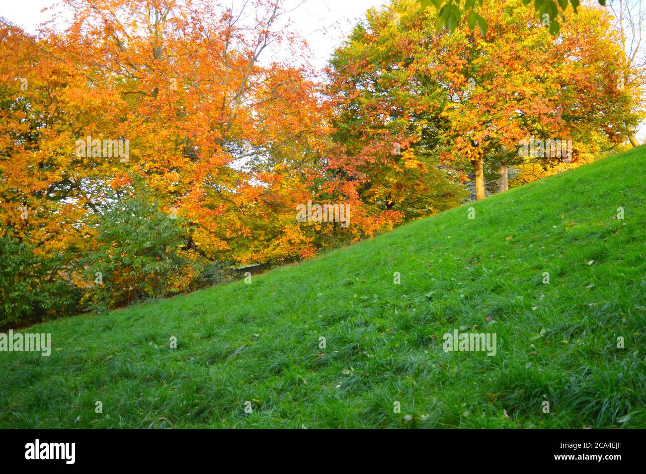Environment nature nobody horizontal hi-res stock photography and ...
