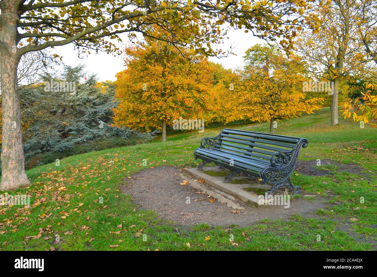 empty park bench in a park surrounded by colorful trees Stock Photo - Alamy