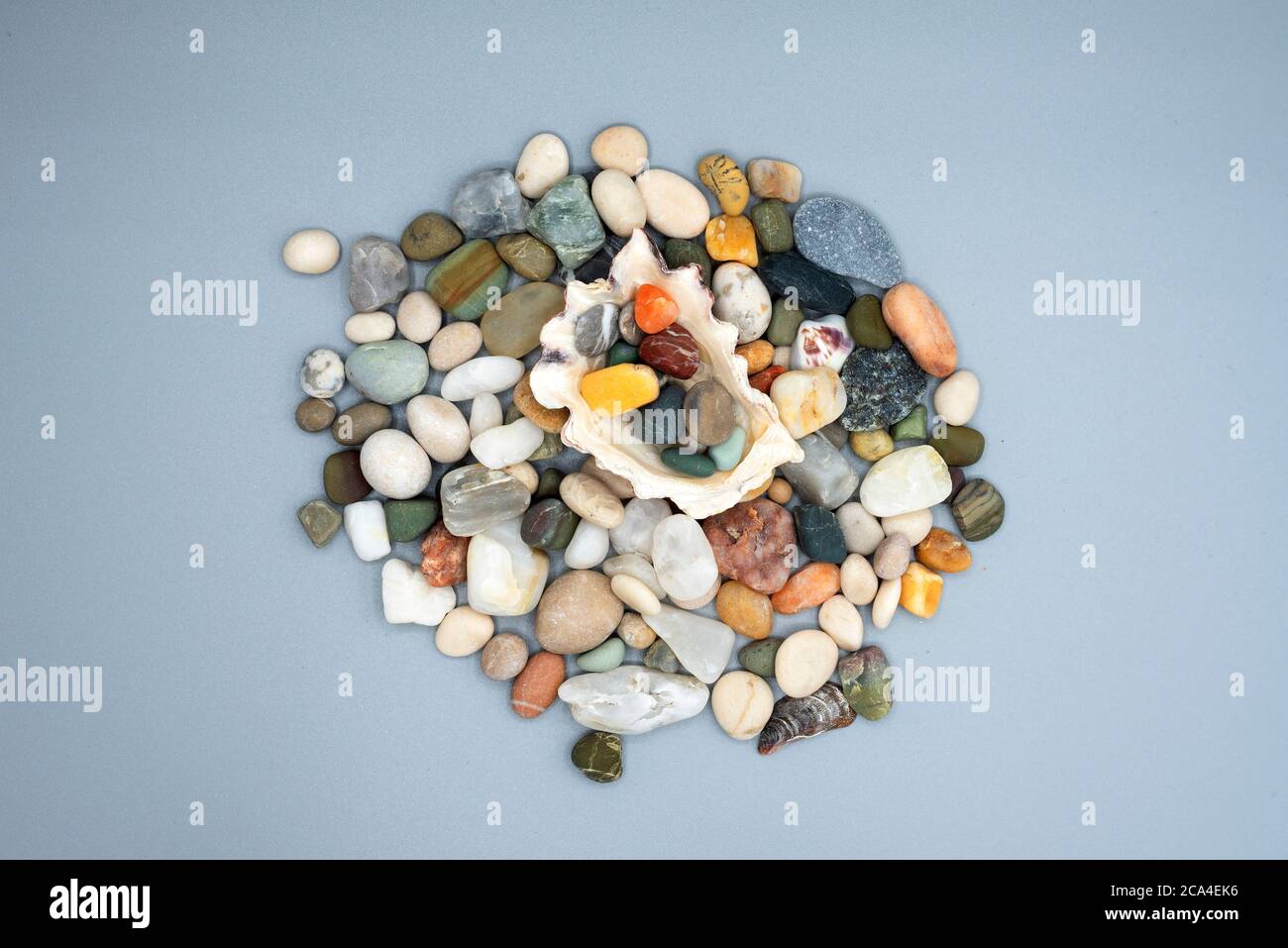collage of sea stones and seashells on gray background Stock Photo - Alamy