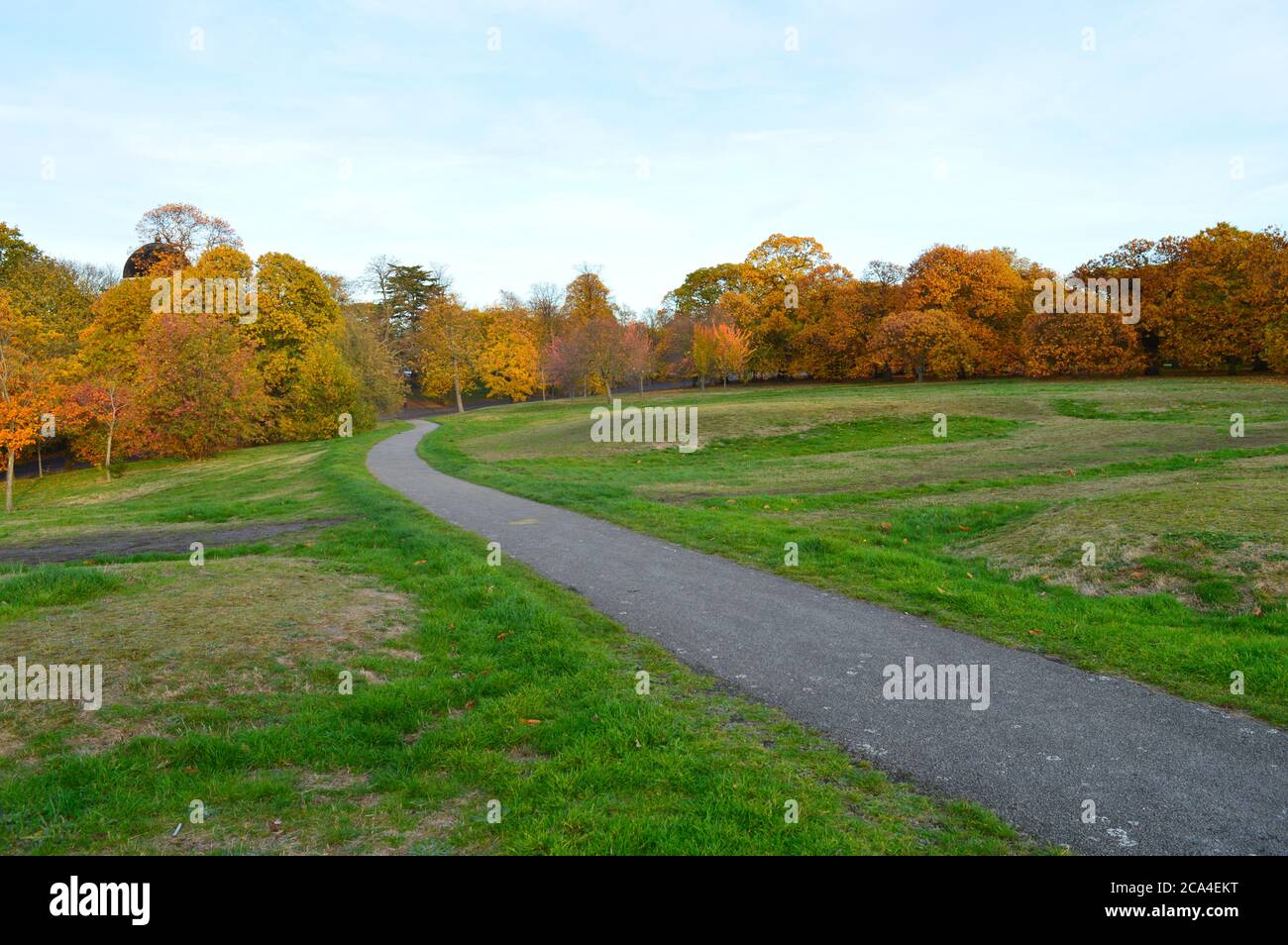 pathway with lawn on both sides and colourful trees in the background ...
