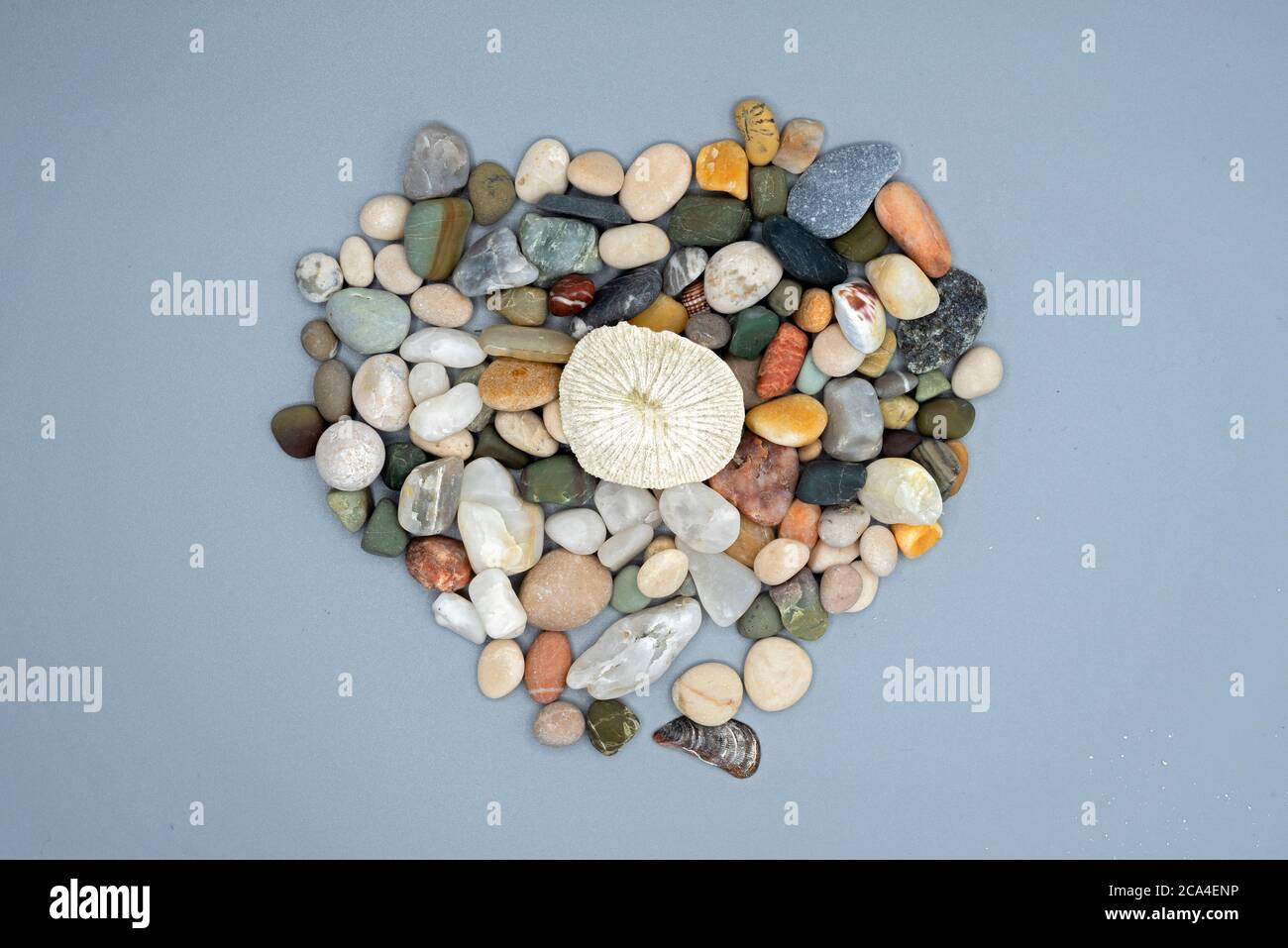 collage of sea stones and seashells on gray background Stock Photo - Alamy