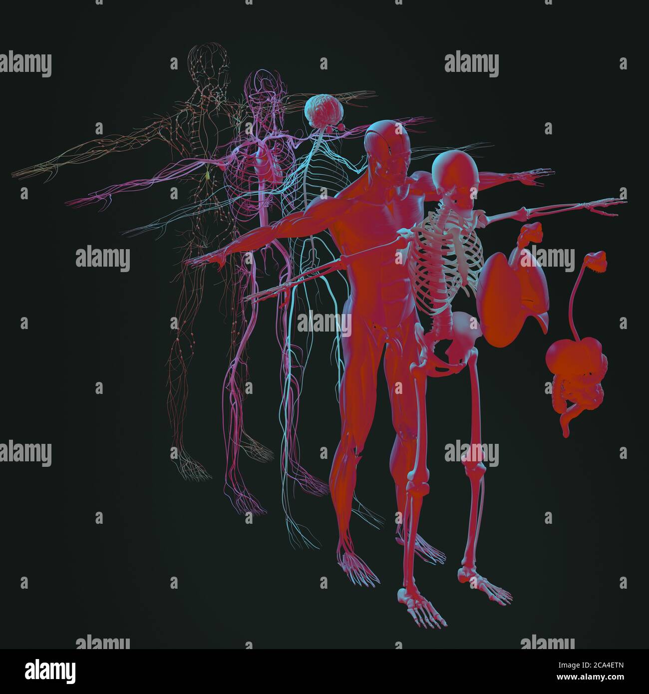 Exploded diagram hi-res stock photography and images - Alamy