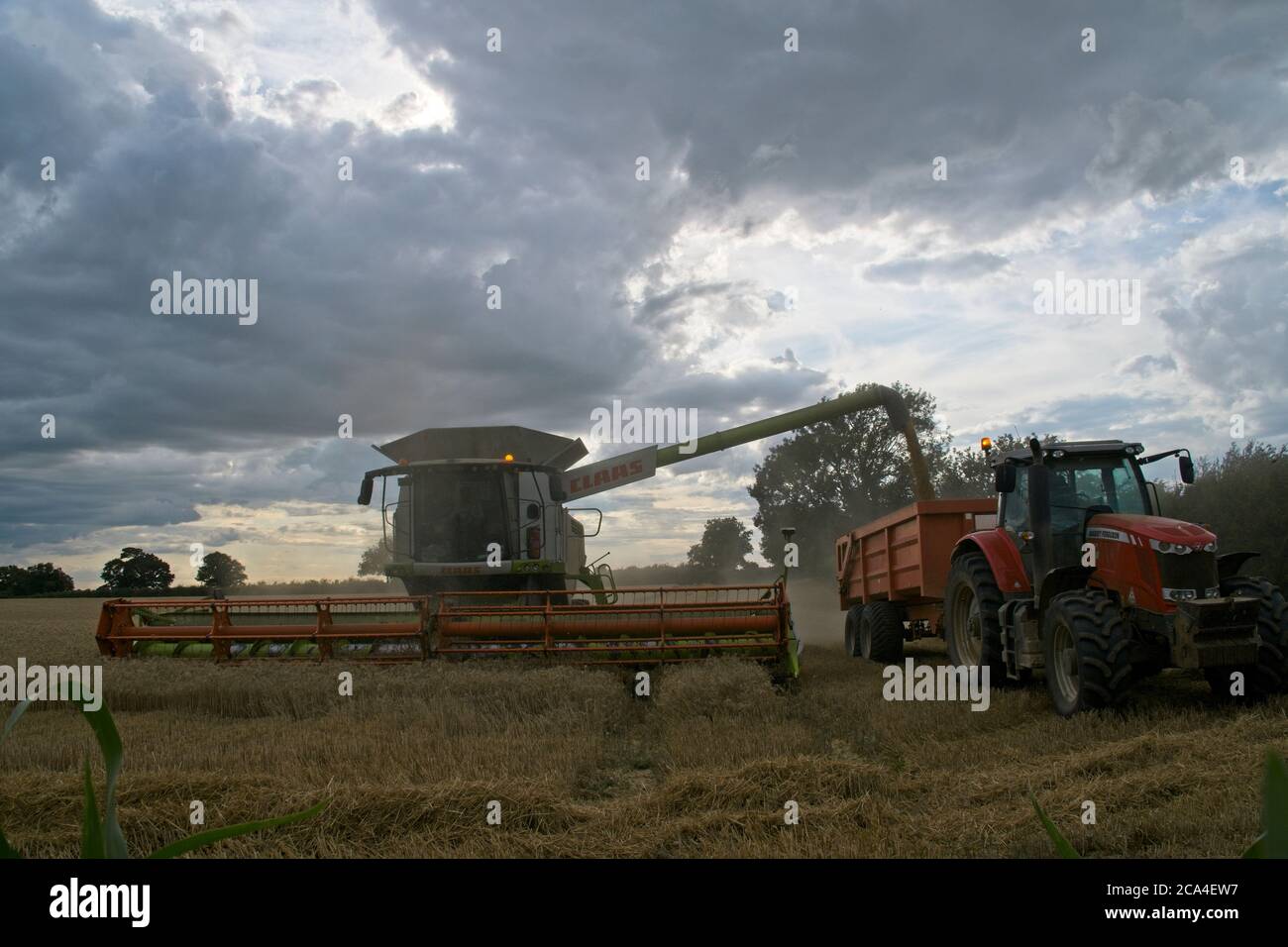 Reaping Threshing Winnowing High Resolution Stock Photography and ...