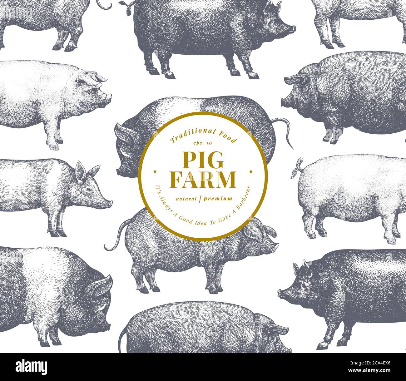 Hand drawn farm animals background. Vector pig design template. Retro ...