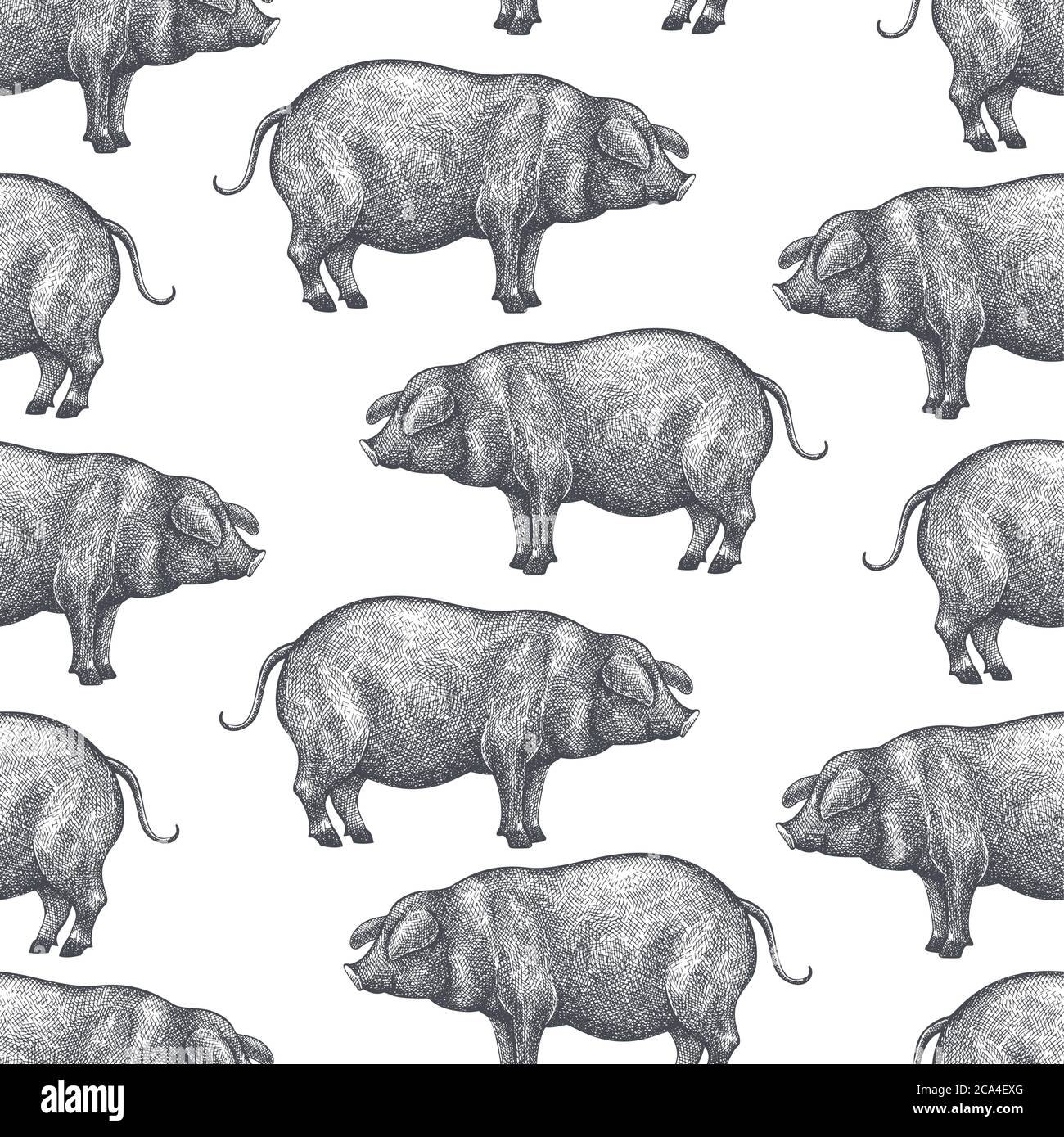 Hand drawn farm animals background. Vector pig seamless pattern. Retro ...