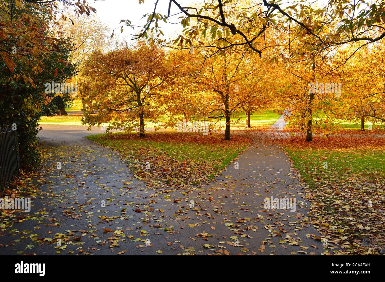 beautiful landscape with green grass colorful trees and a road that ...