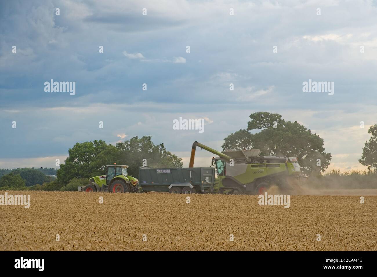 Winter Harvest combined harvester reaping crop with tractor and ...
