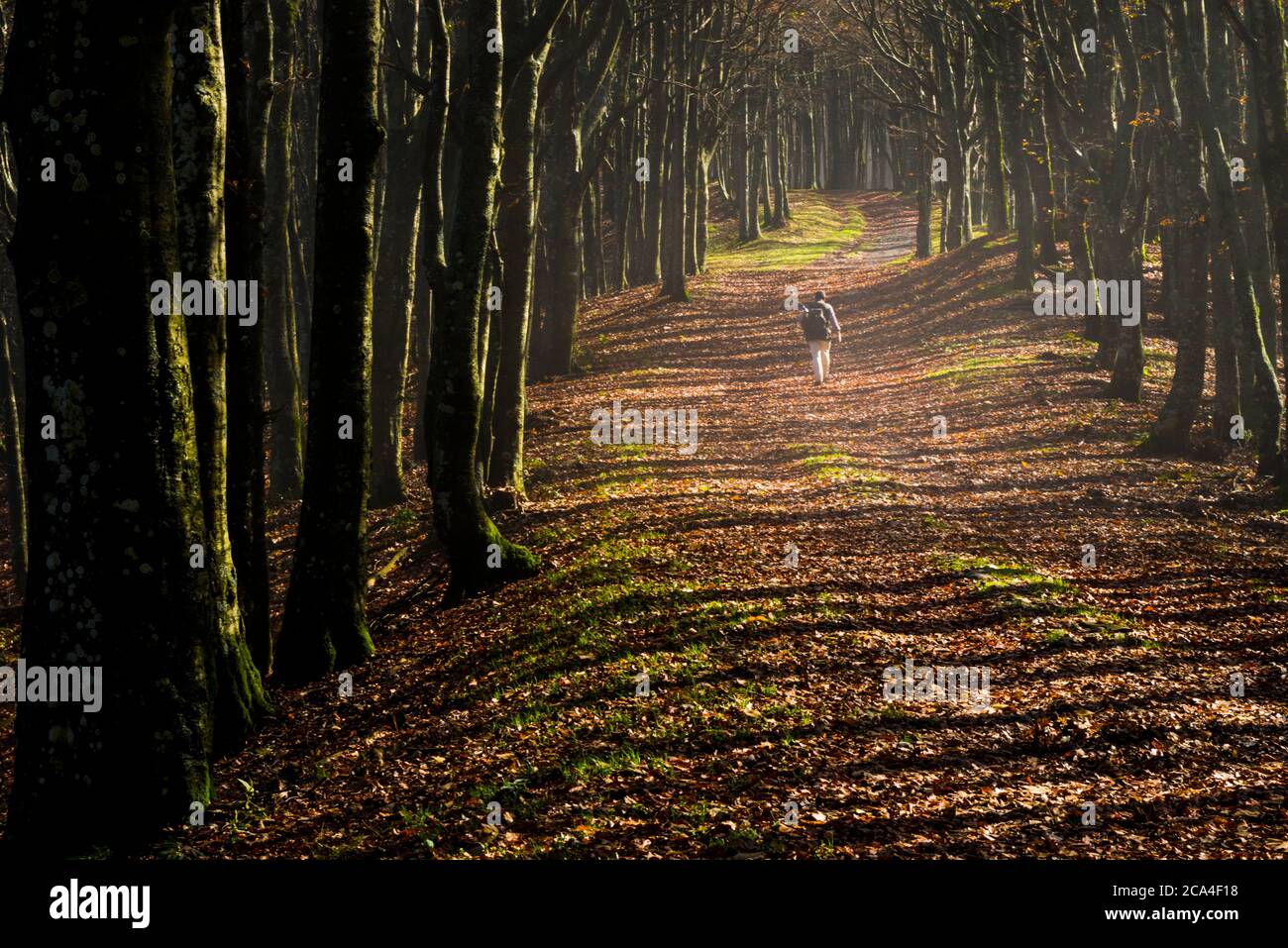 One person walking hi-res stock photography and images - Alamy