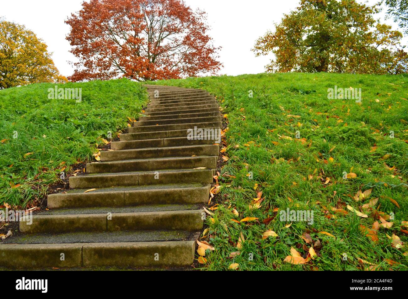 steps going uphill with colorful trees in the background and green ...