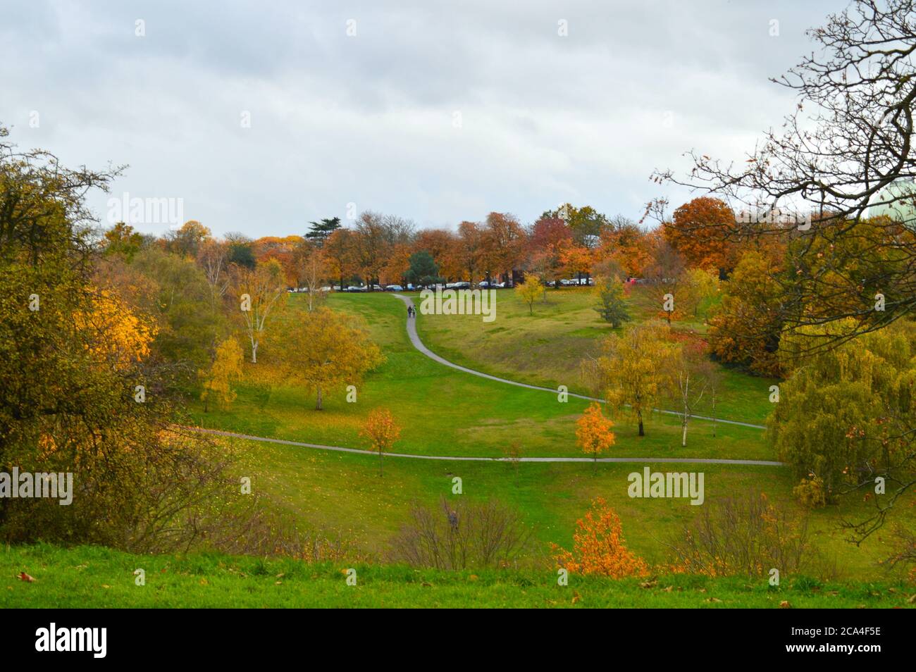 landscape showing many pathways among green grass and colorful trees ...