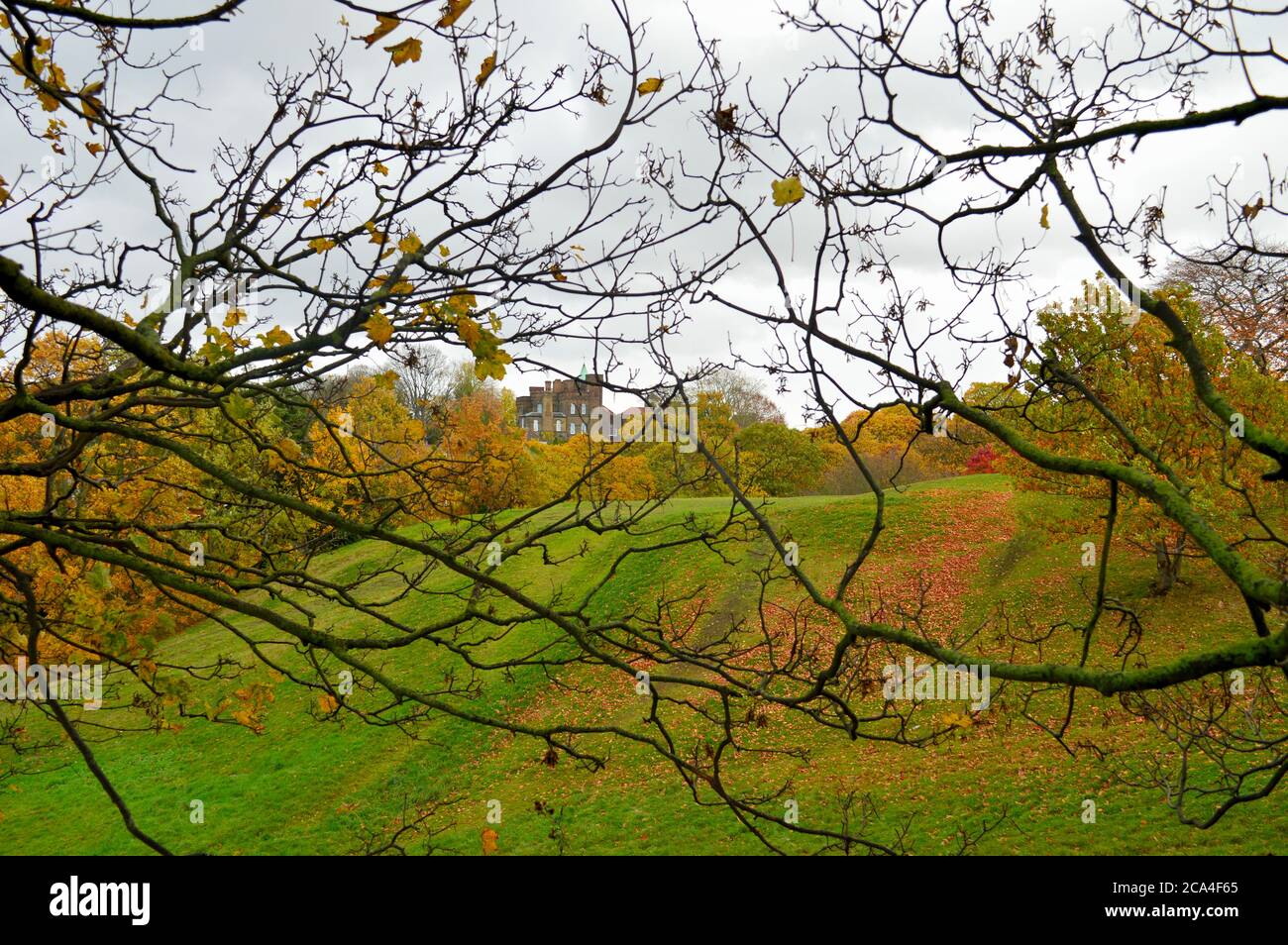 scenic landscape with branches in the foreground Stock Photo - Alamy