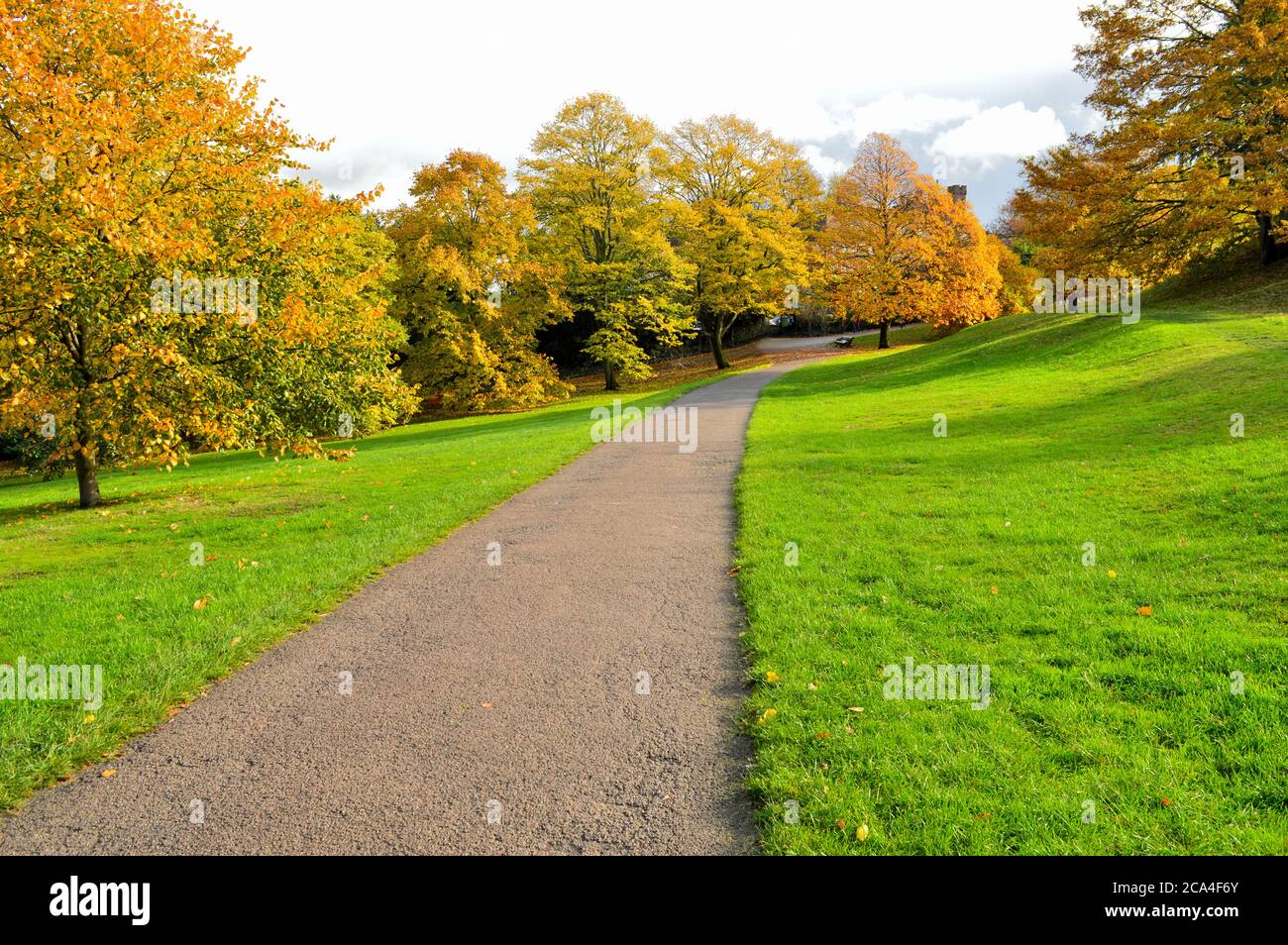 pathway with lawn on both sides and colorful trees in the background ...
