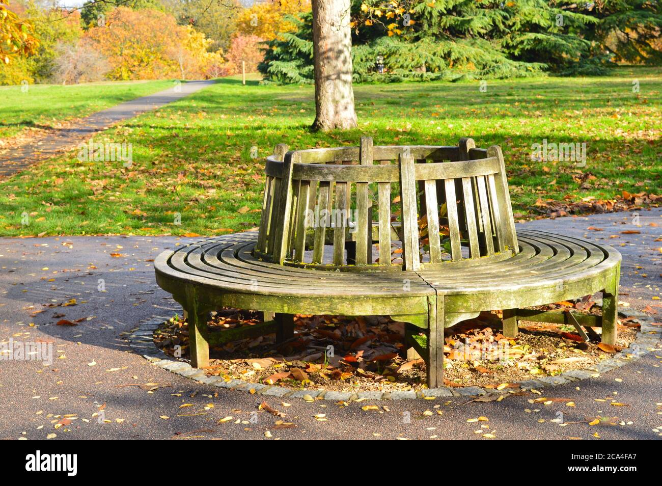 empty round bench in a park Stock Photo - Alamy