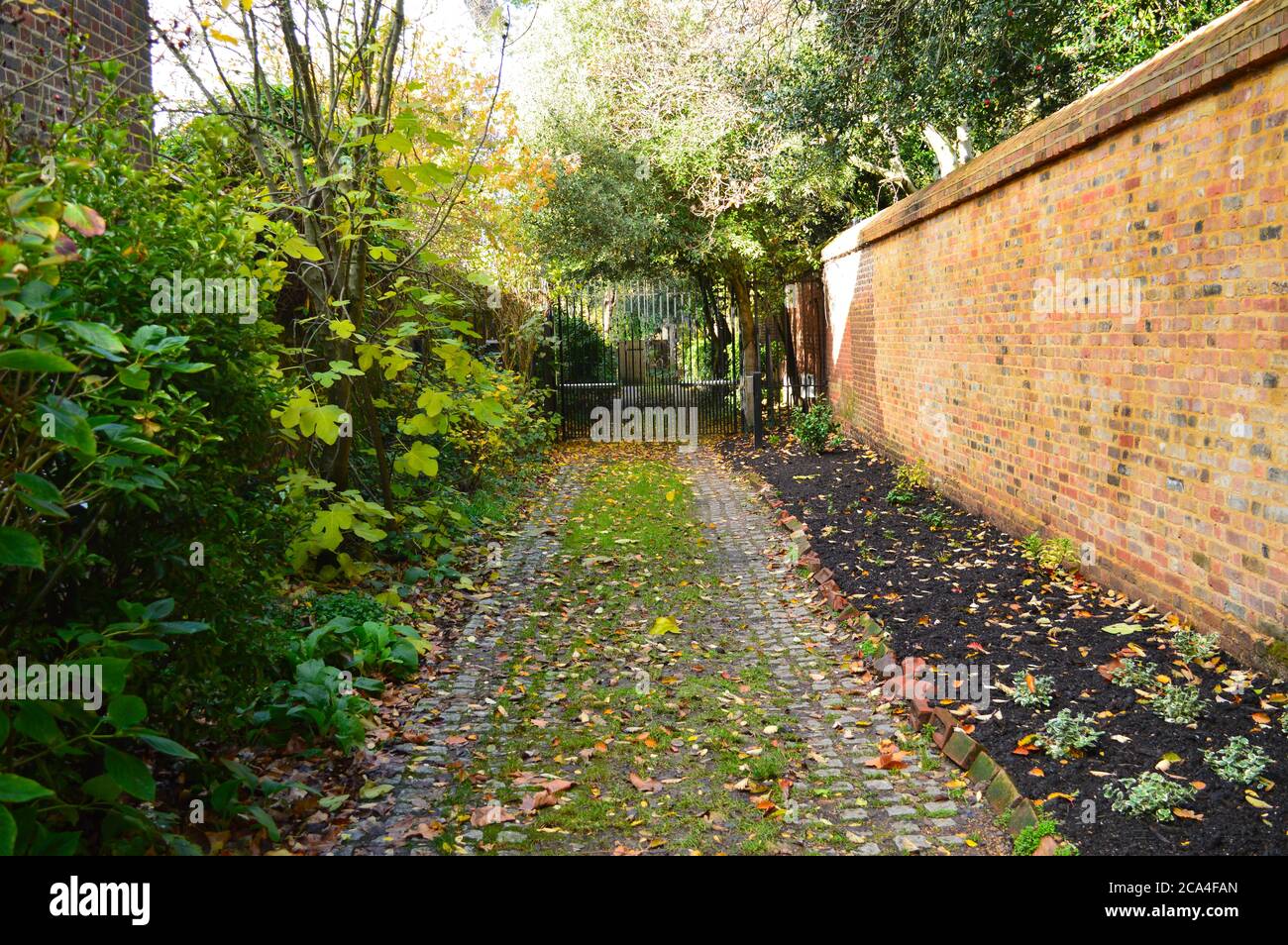 paved pathway with a brick wall on one side and plantation on the other ...
