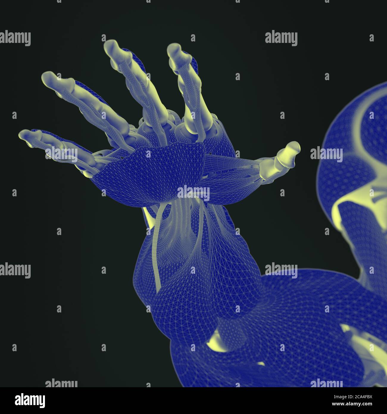 X ray hand veins hi-res stock photography and images - Alamy