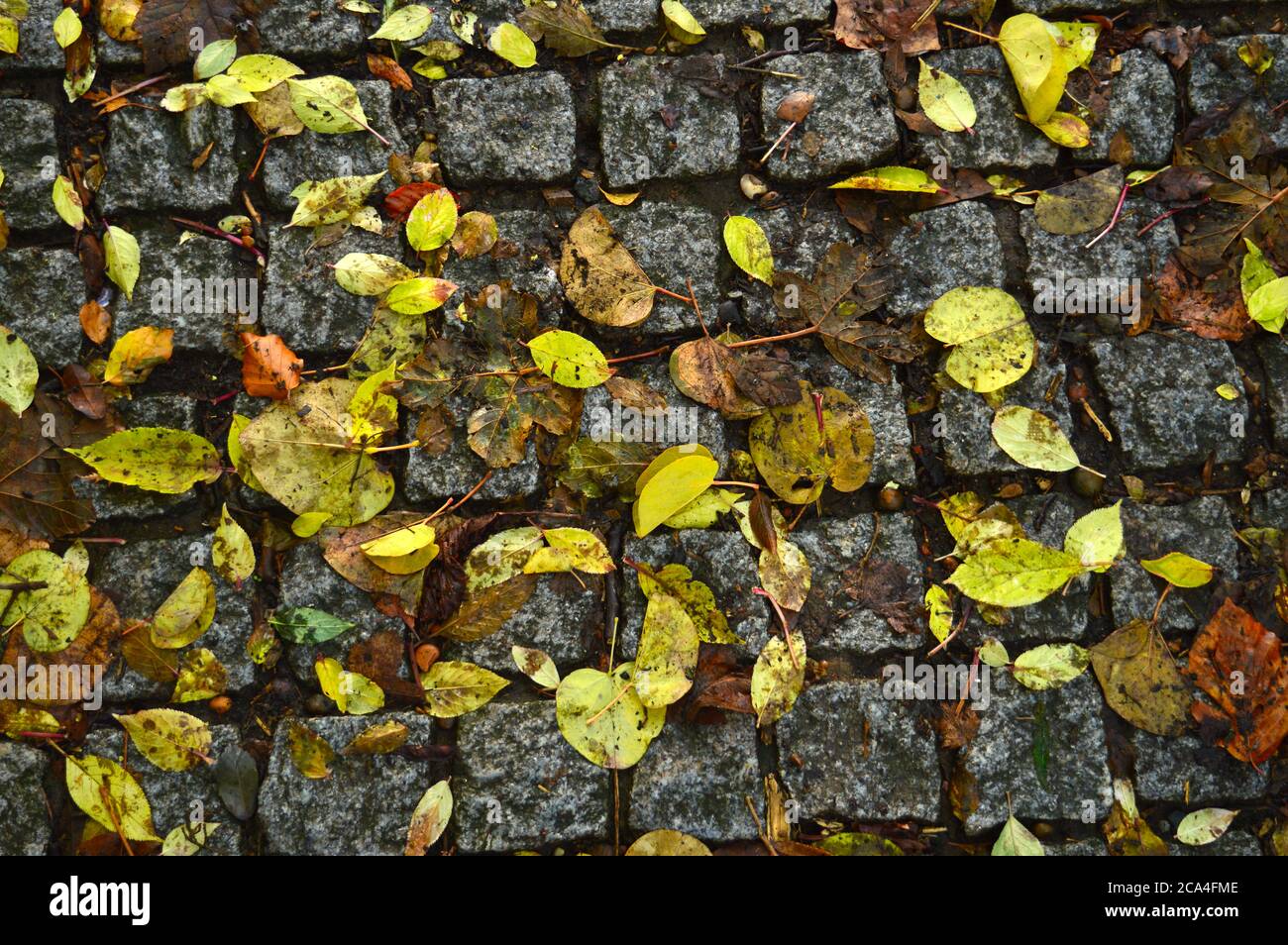 Pavement pattern hi-res stock photography and images - Alamy