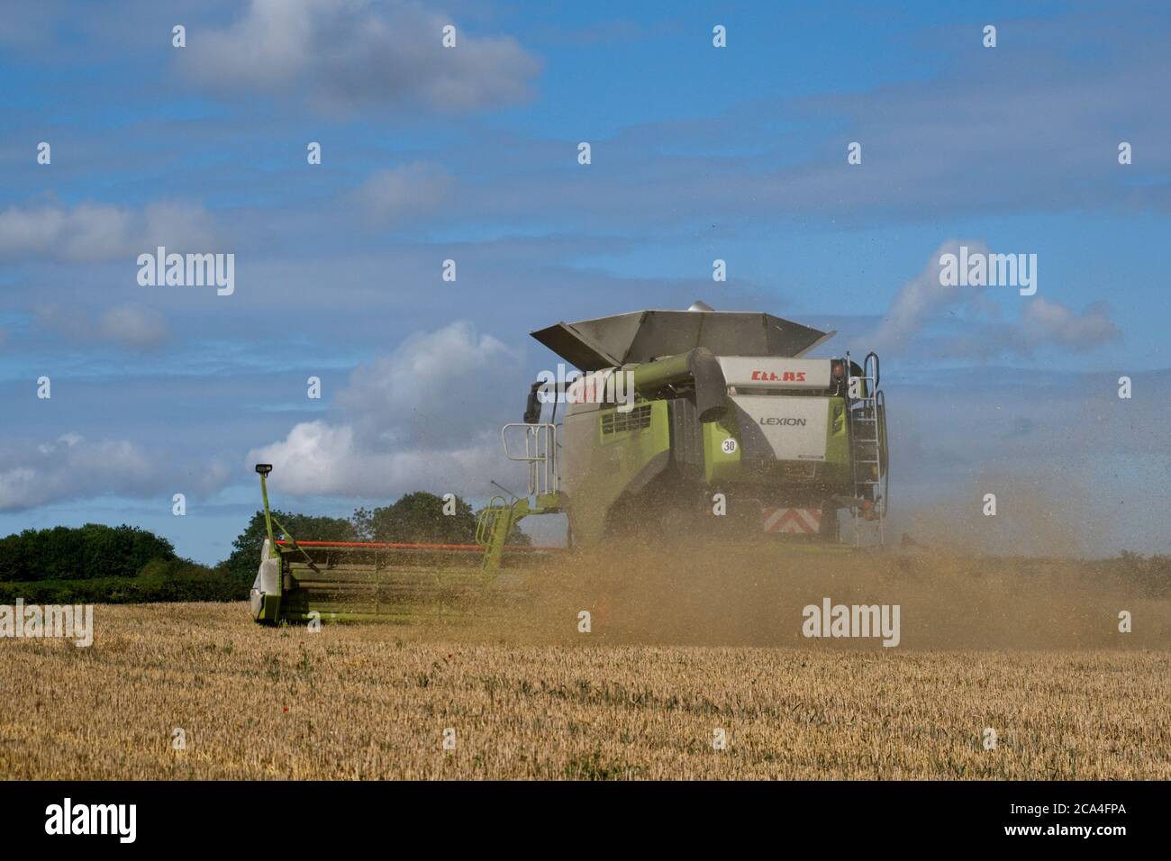 Winter Harvest Close side view of combined harvester at work in field ...