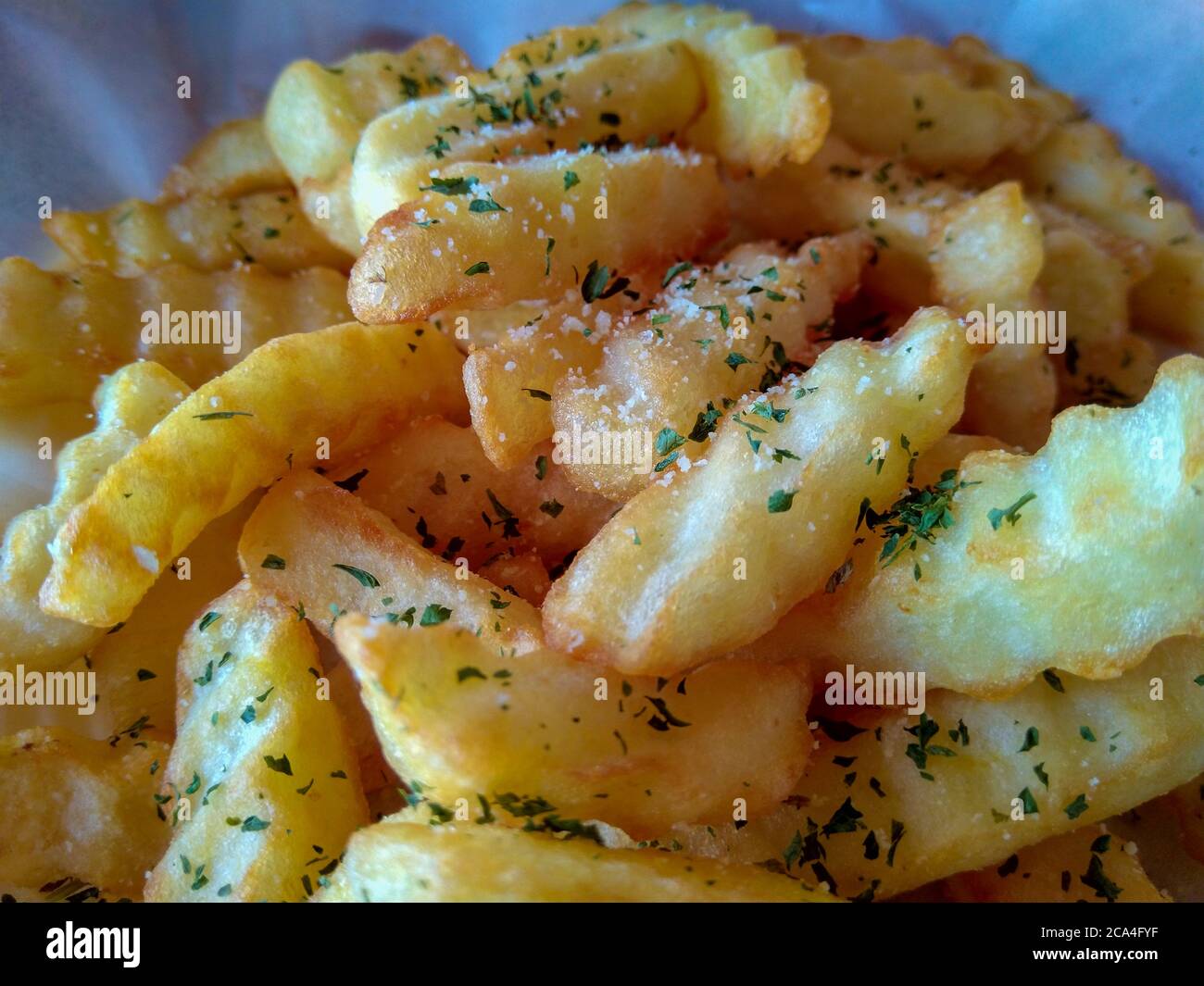 Spicy fast food: French fries with cheddar cheese, chili and chicken ...