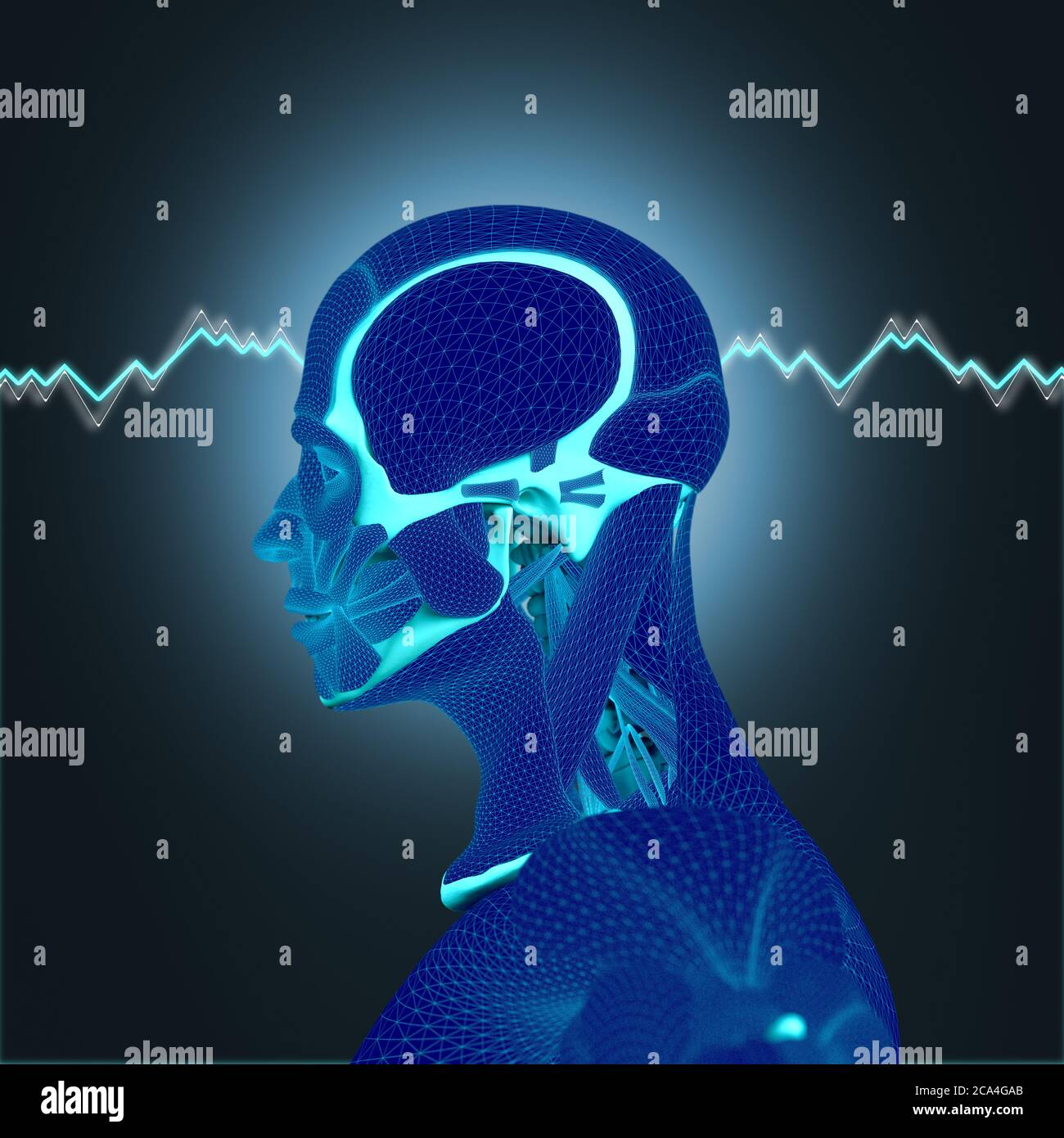 Human concept illustration, head, anatomy, thought Stock Photo - Alamy