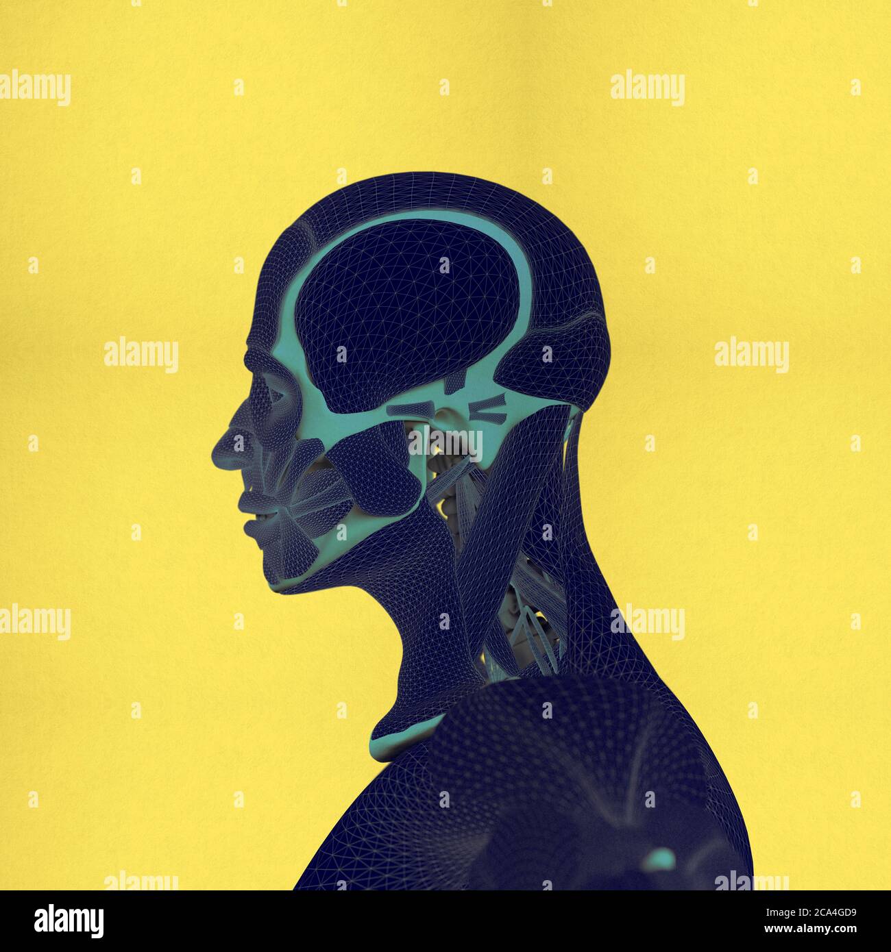 Human concept illustration, head, anatomy, thought Stock Photo - Alamy