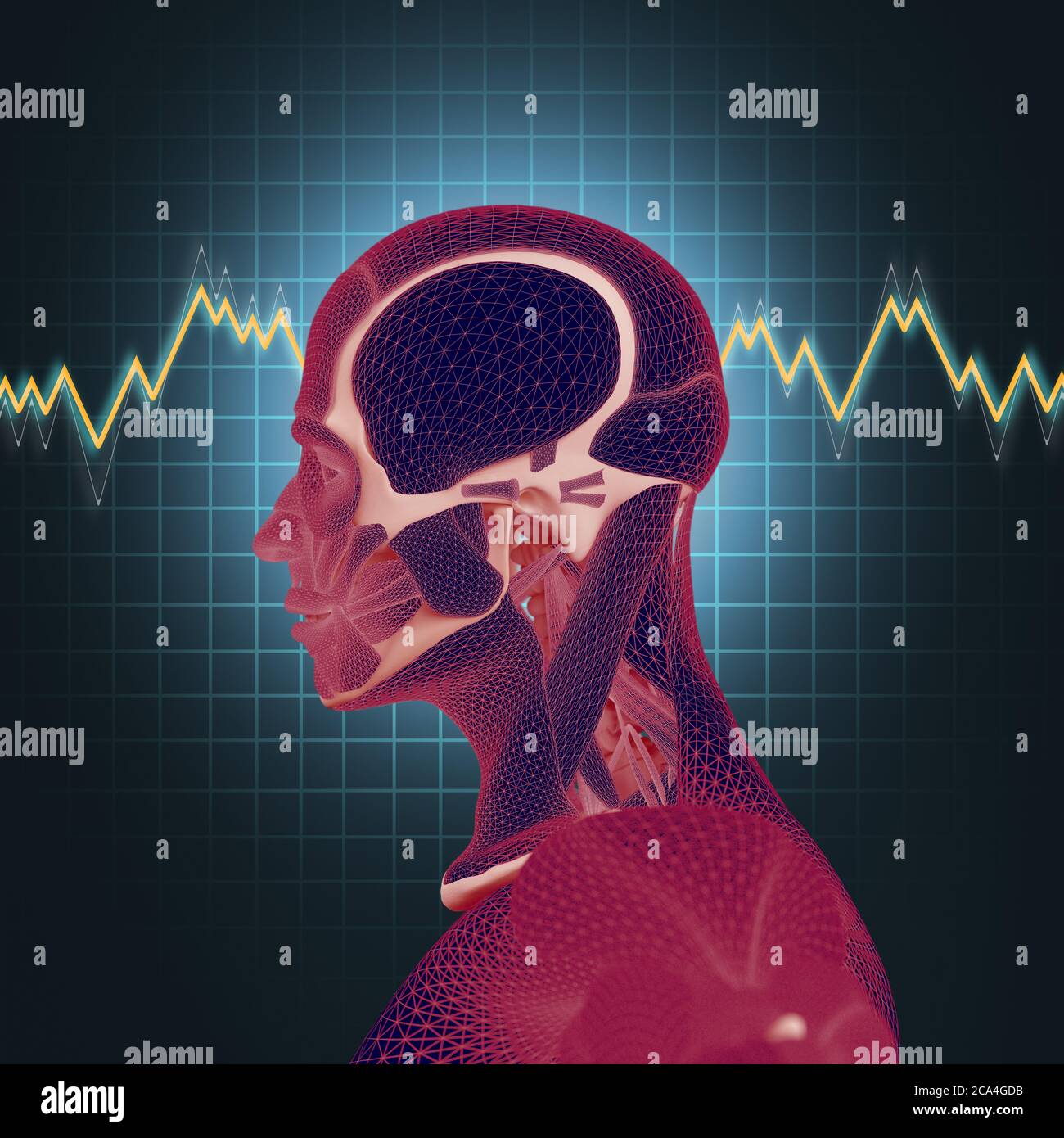 Human concept illustration, head, anatomy, thought Stock Photo - Alamy