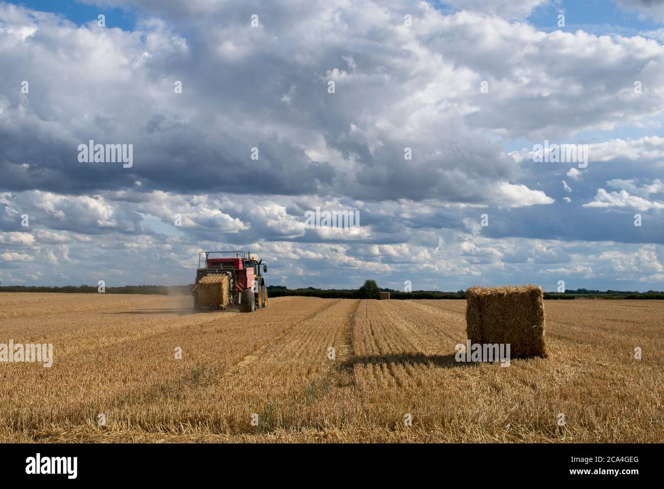 Annual farming process hi-res stock photography and images - Alamy