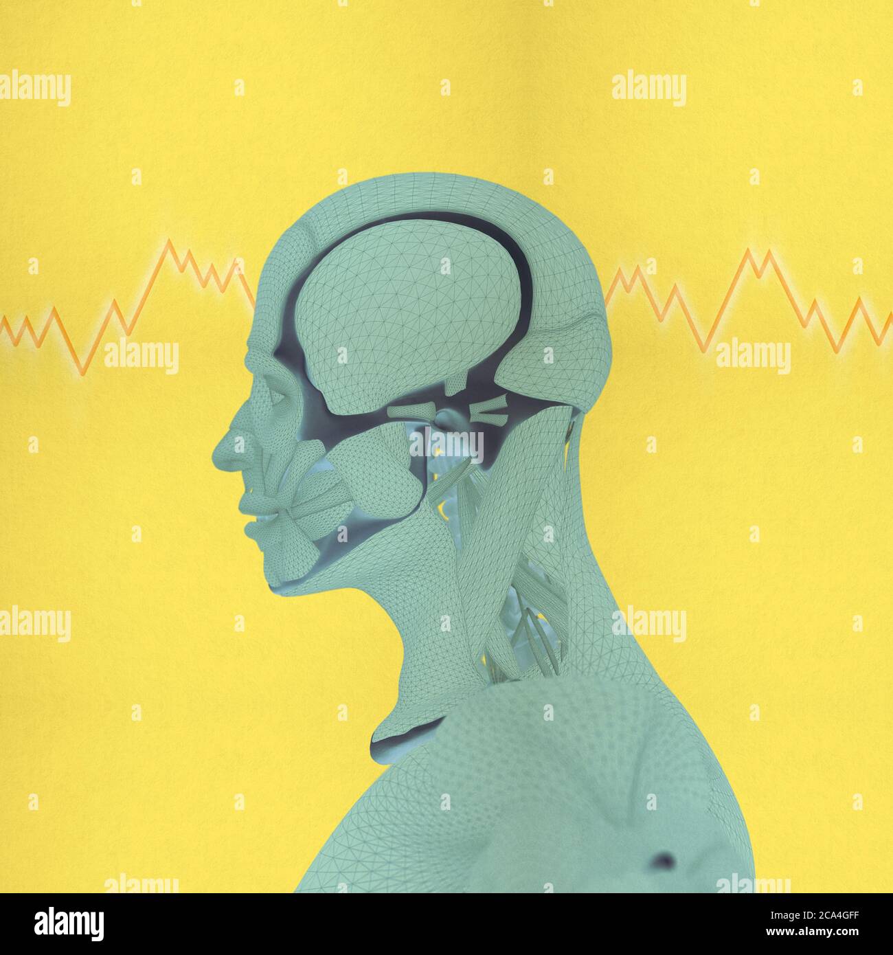 Human concept illustration, head, anatomy, thought Stock Photo - Alamy