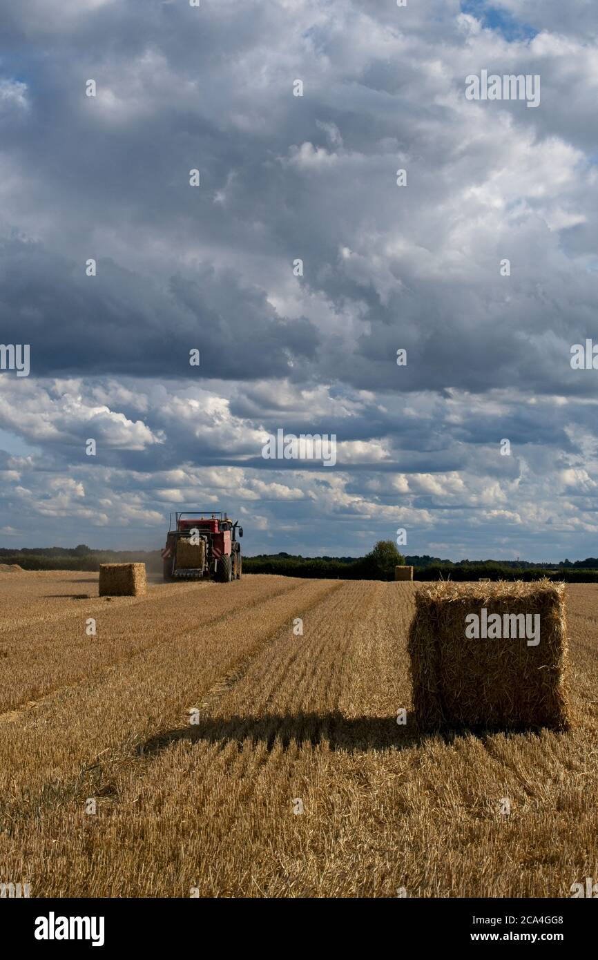 Baling after the harvest Distant view of tractor towing bailer ejecting ...