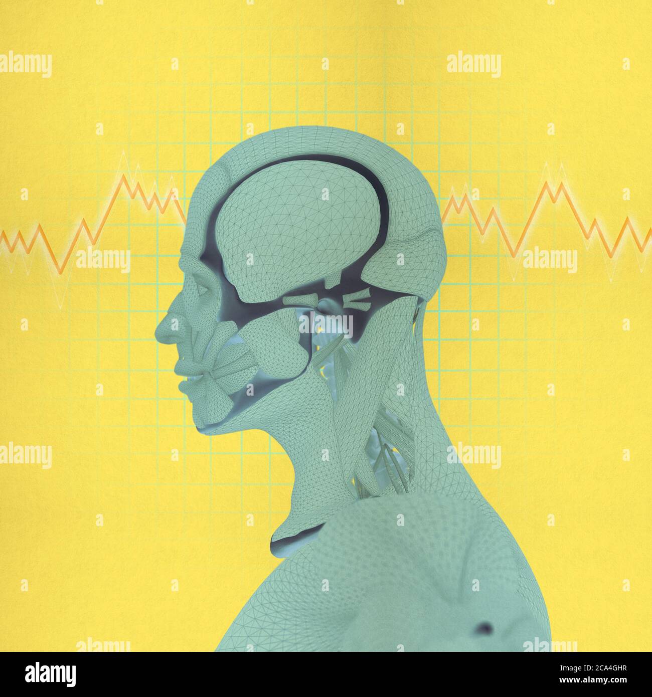 Human concept illustration, head, anatomy, thought Stock Photo - Alamy