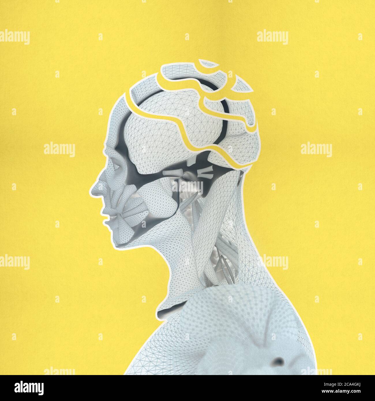 Human concept illustration, head, anatomy, thought Stock Photo - Alamy