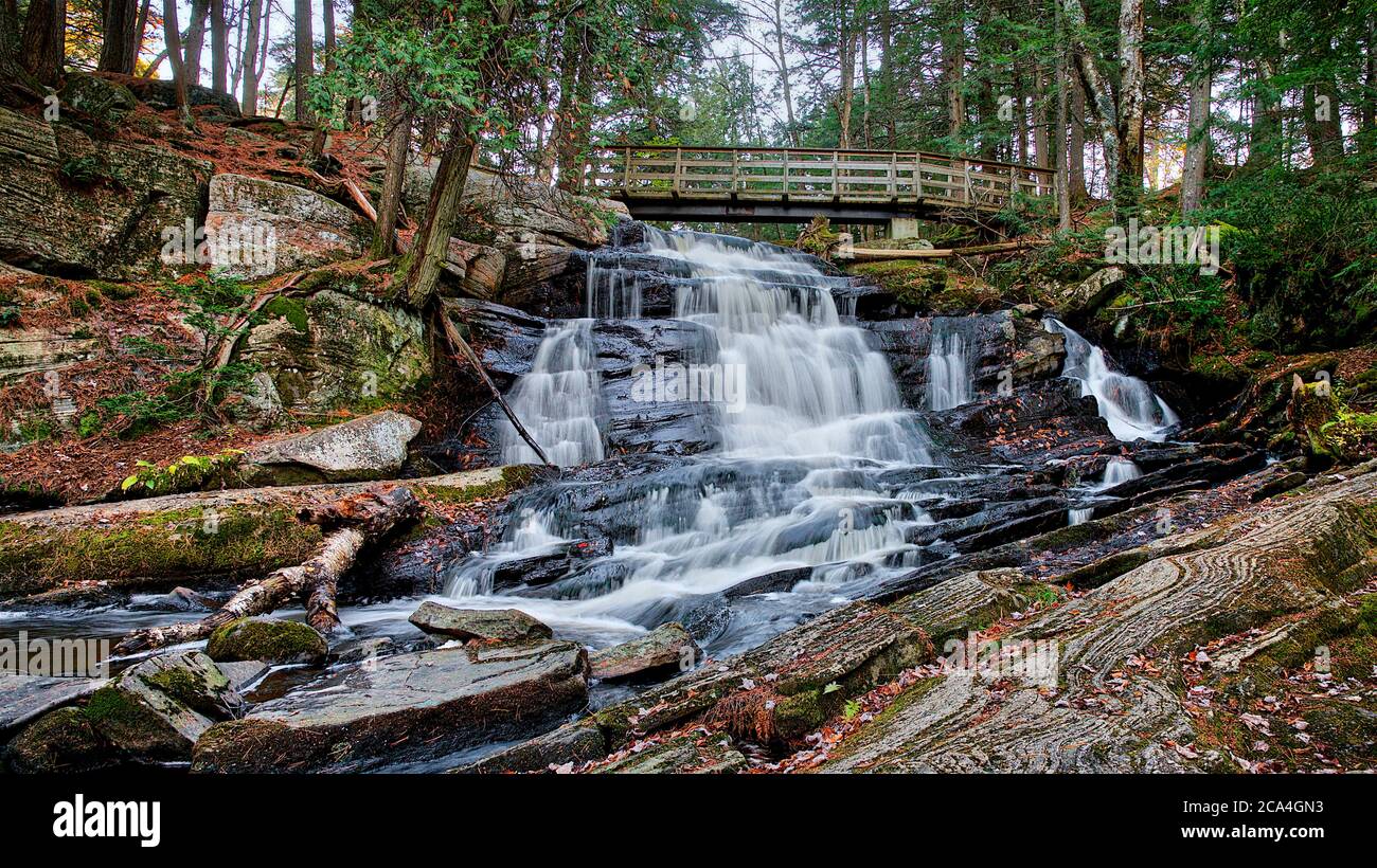 Autumn landscape. Beautiful stream In the forest with autumn leaf color ...