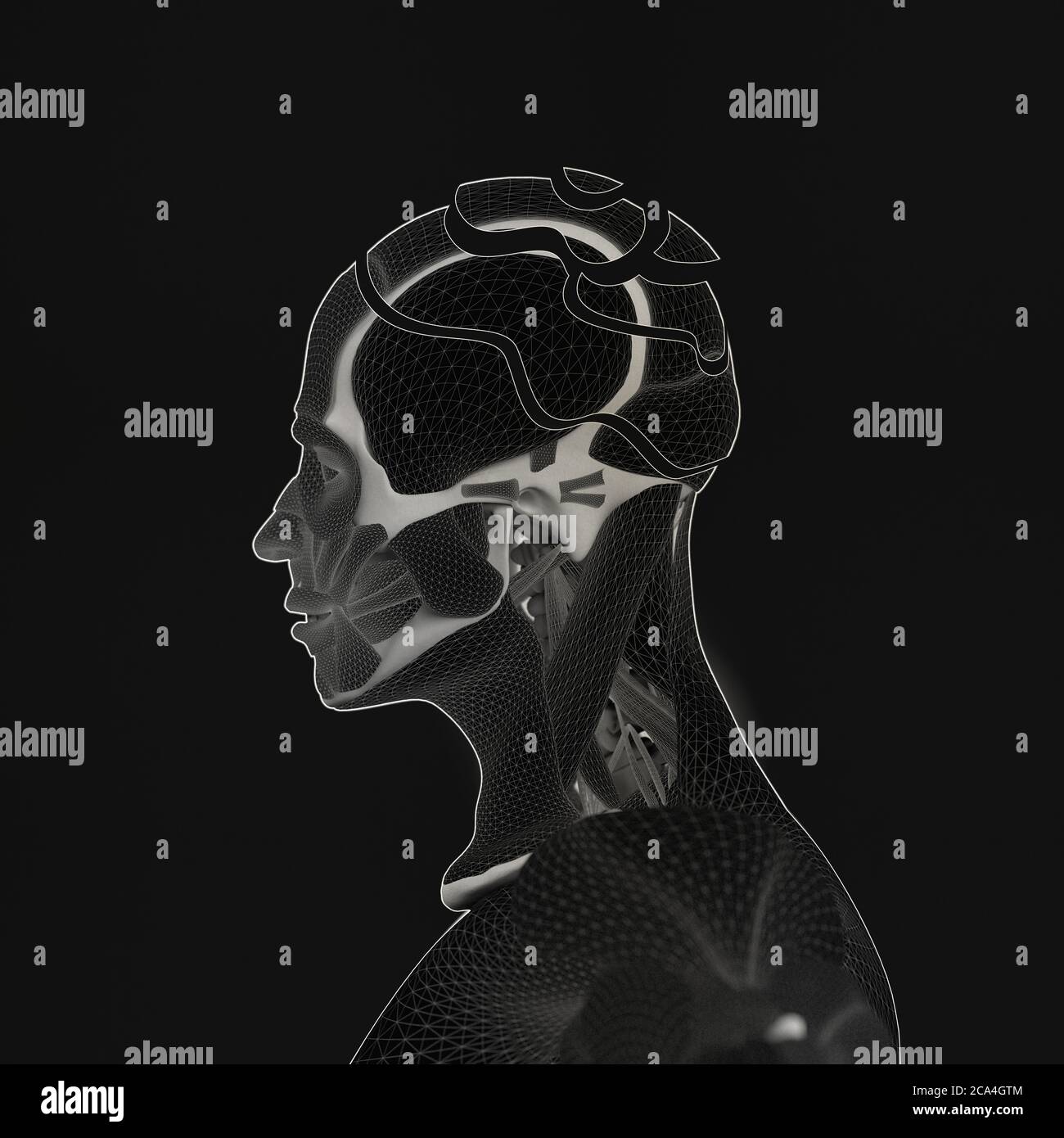 Human concept illustration, head, anatomy, thought Stock Photo - Alamy