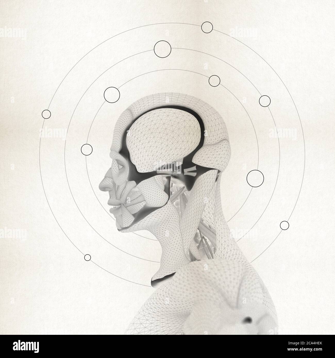 Anatomy concept illustration of human head, though, intellect. 3D ...