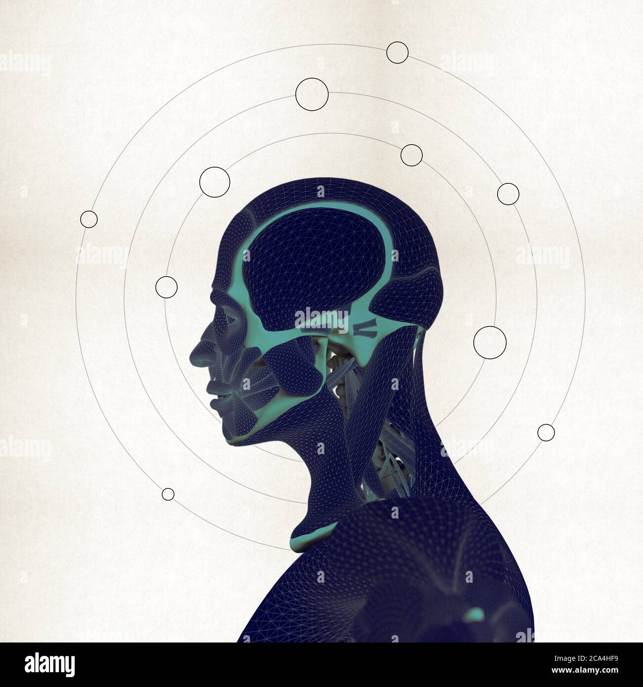 Anatomy concept illustration of human head, though, intellect. 3D ...